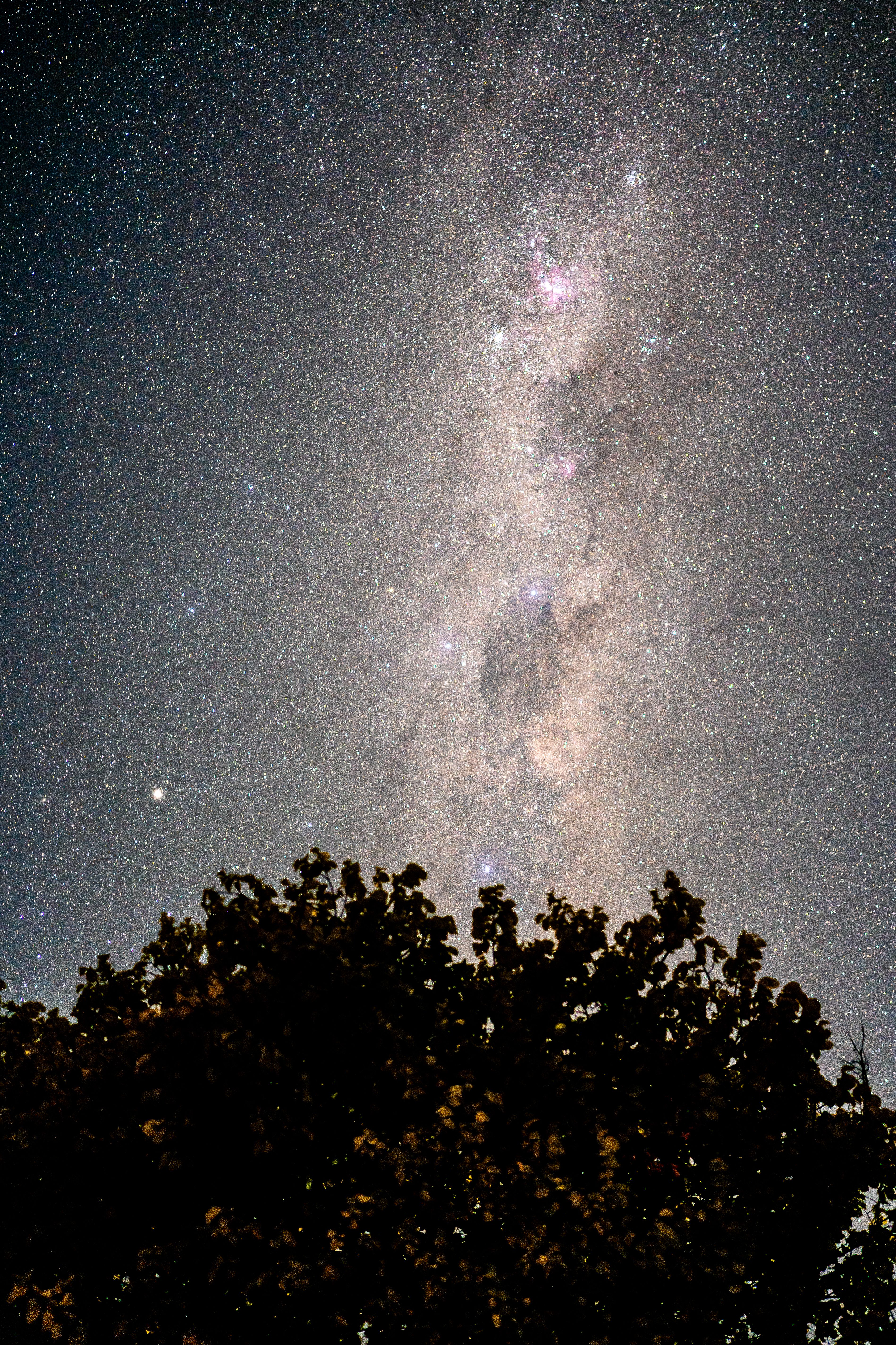 Sky Full of Stars · Free Stock Photo