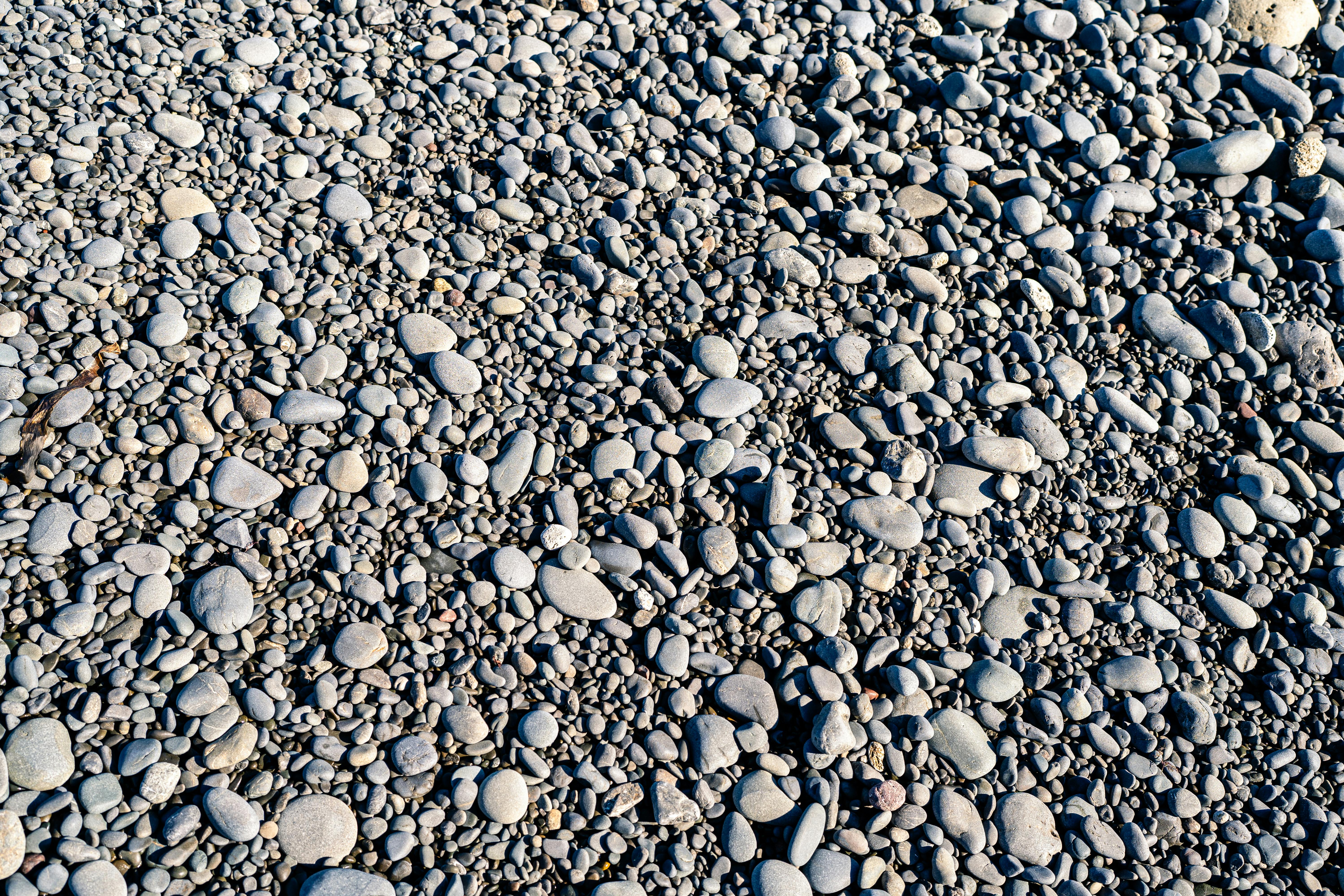 Close-Up Photo of White Sand · Free Stock Photo