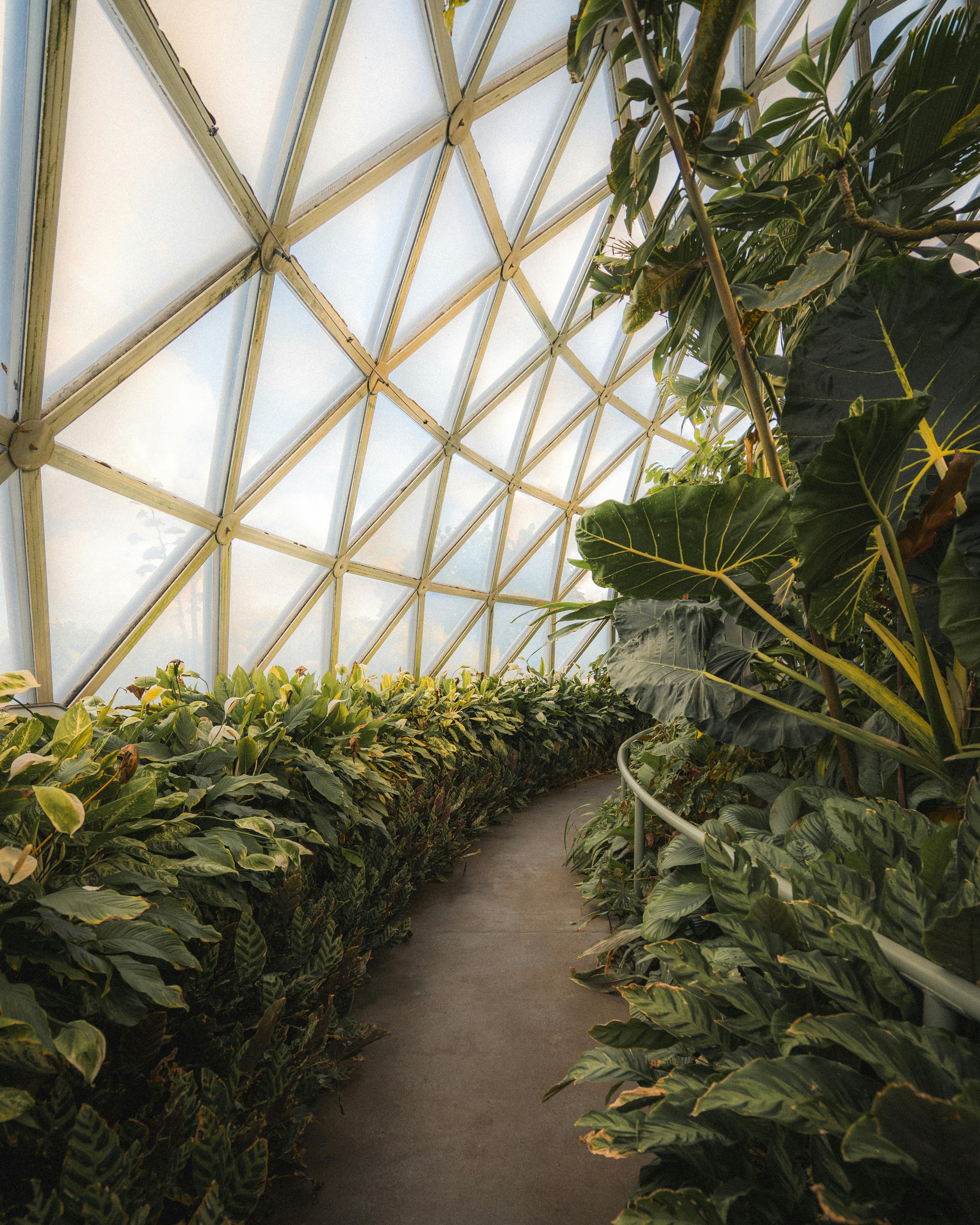 Interior of Tropical Display Dome · Free Stock Photo