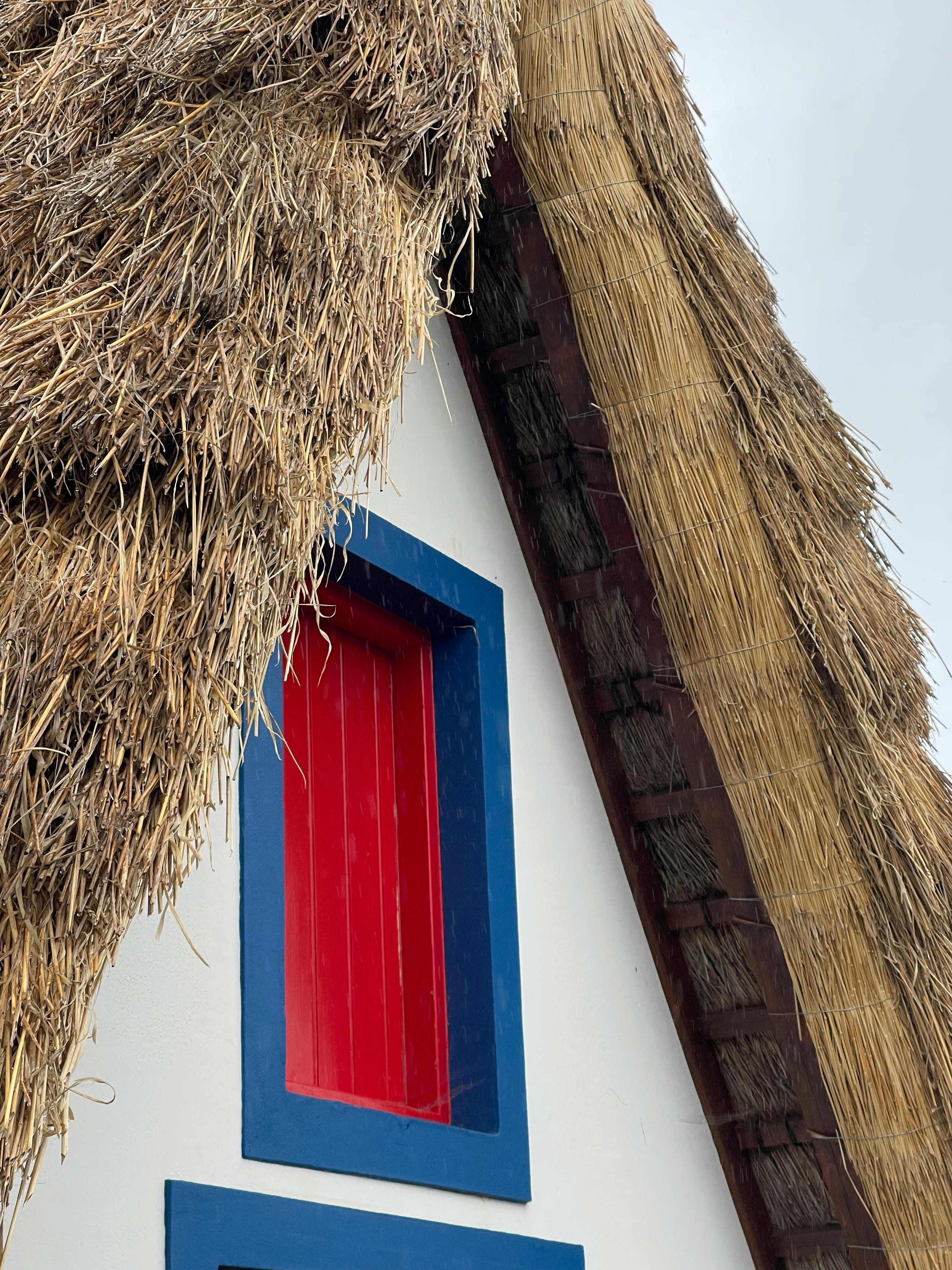 1+ Million Royalty Free Images · Pexels