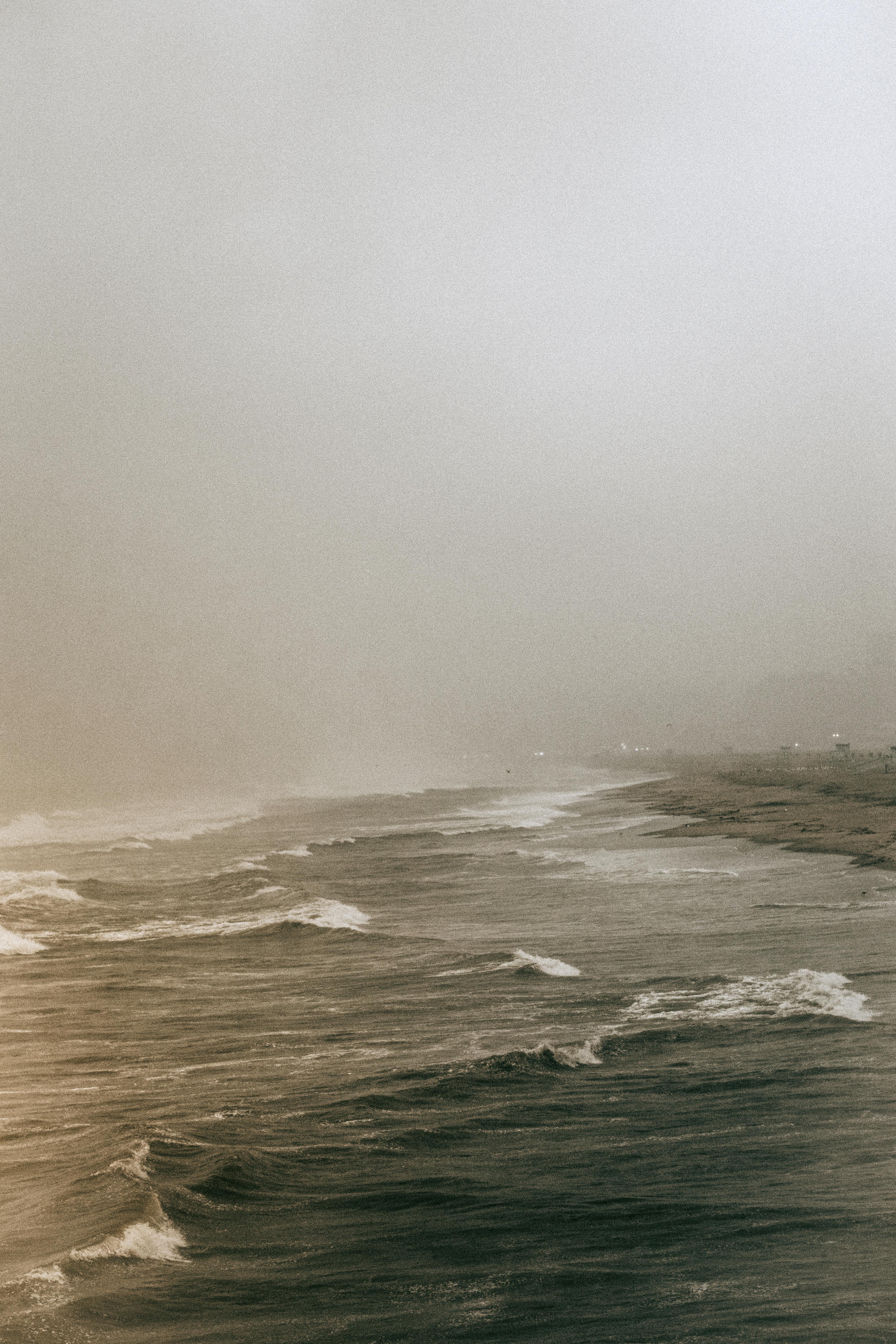 Fog over Sea Shore · Free Stock Photo
