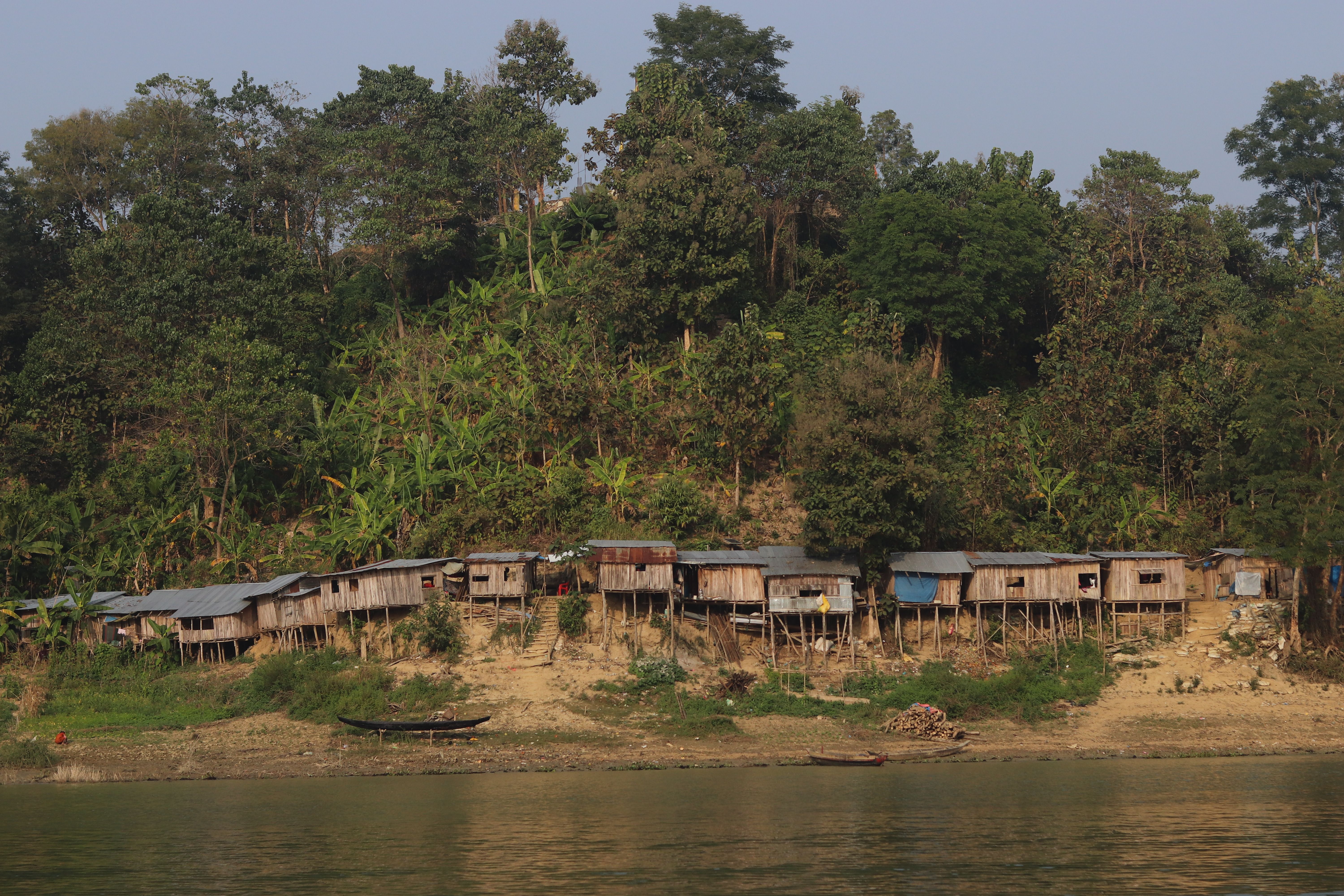 Wooden Huts on Lakeshore in Forest · Free Stock Photo
