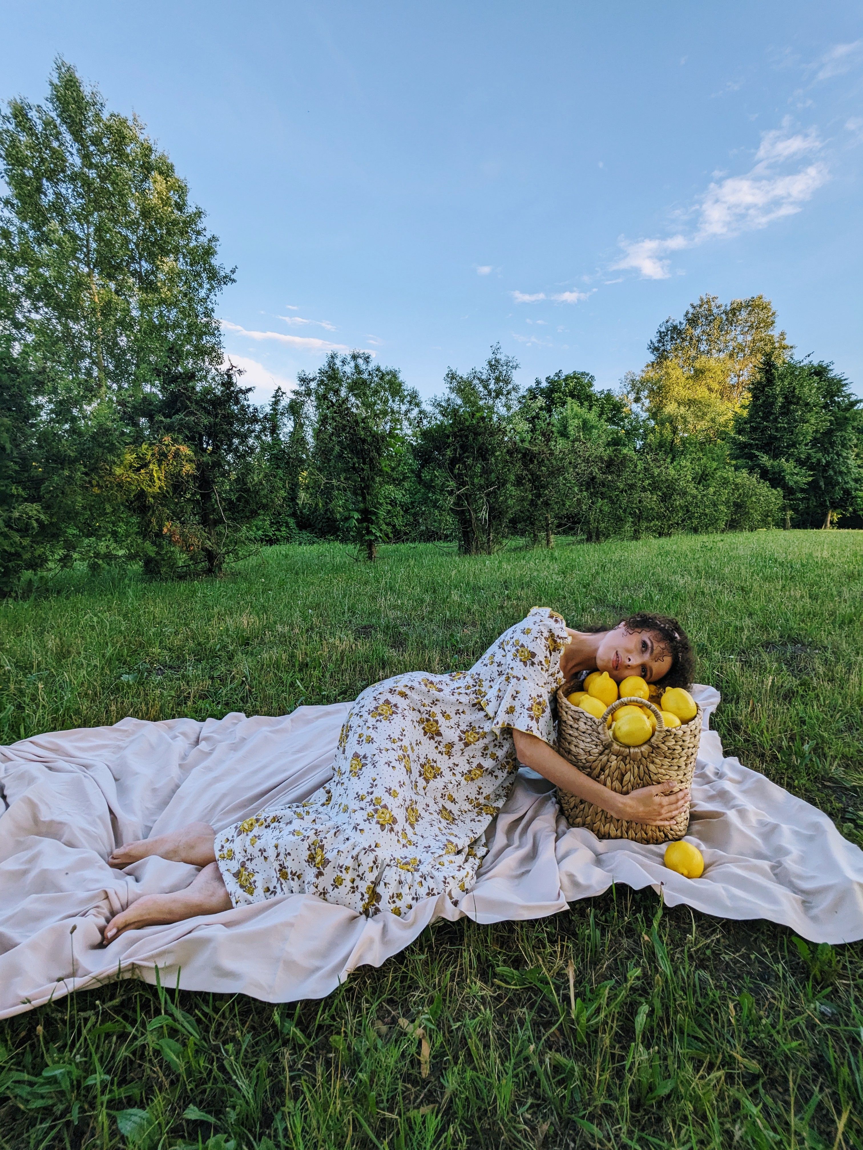 Woman in Sundress Lying Down with Basket of Lemons on Picnic · Free ...