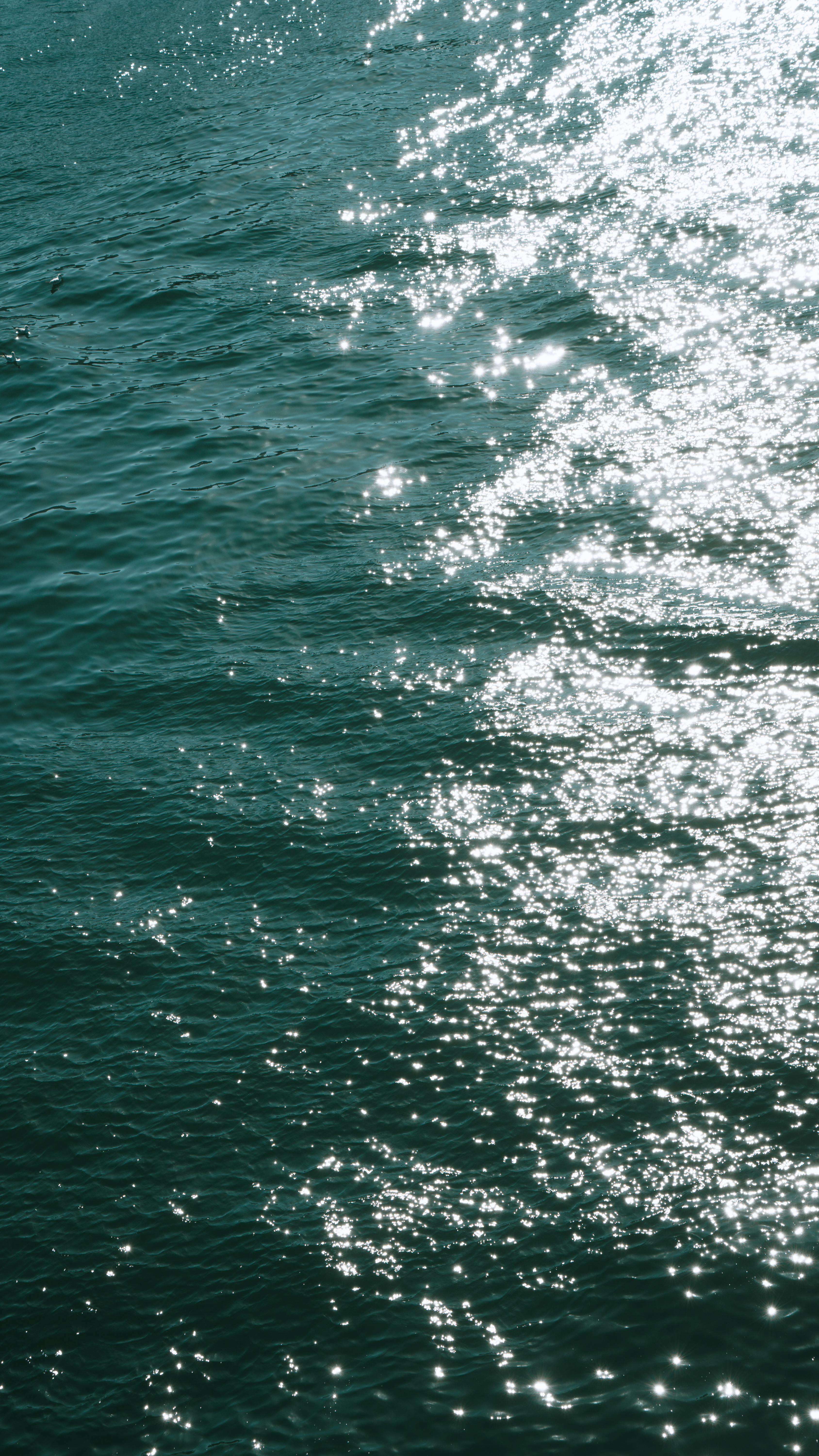 Surface of the Ocean Sparkling in the Sun · Free Stock Photo