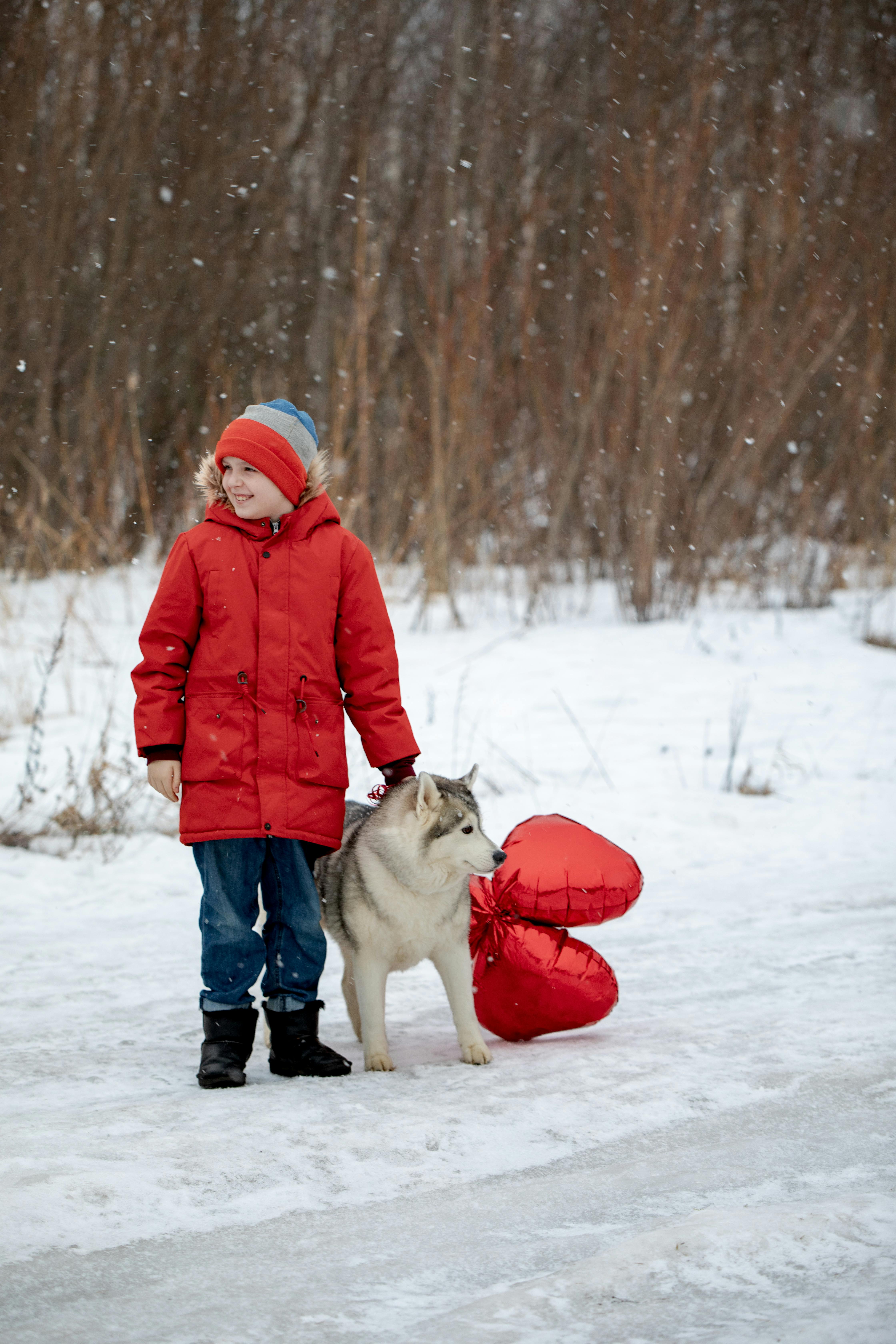 Boy With Husky Photos, Download The BEST Free Boy With Husky Stock ...