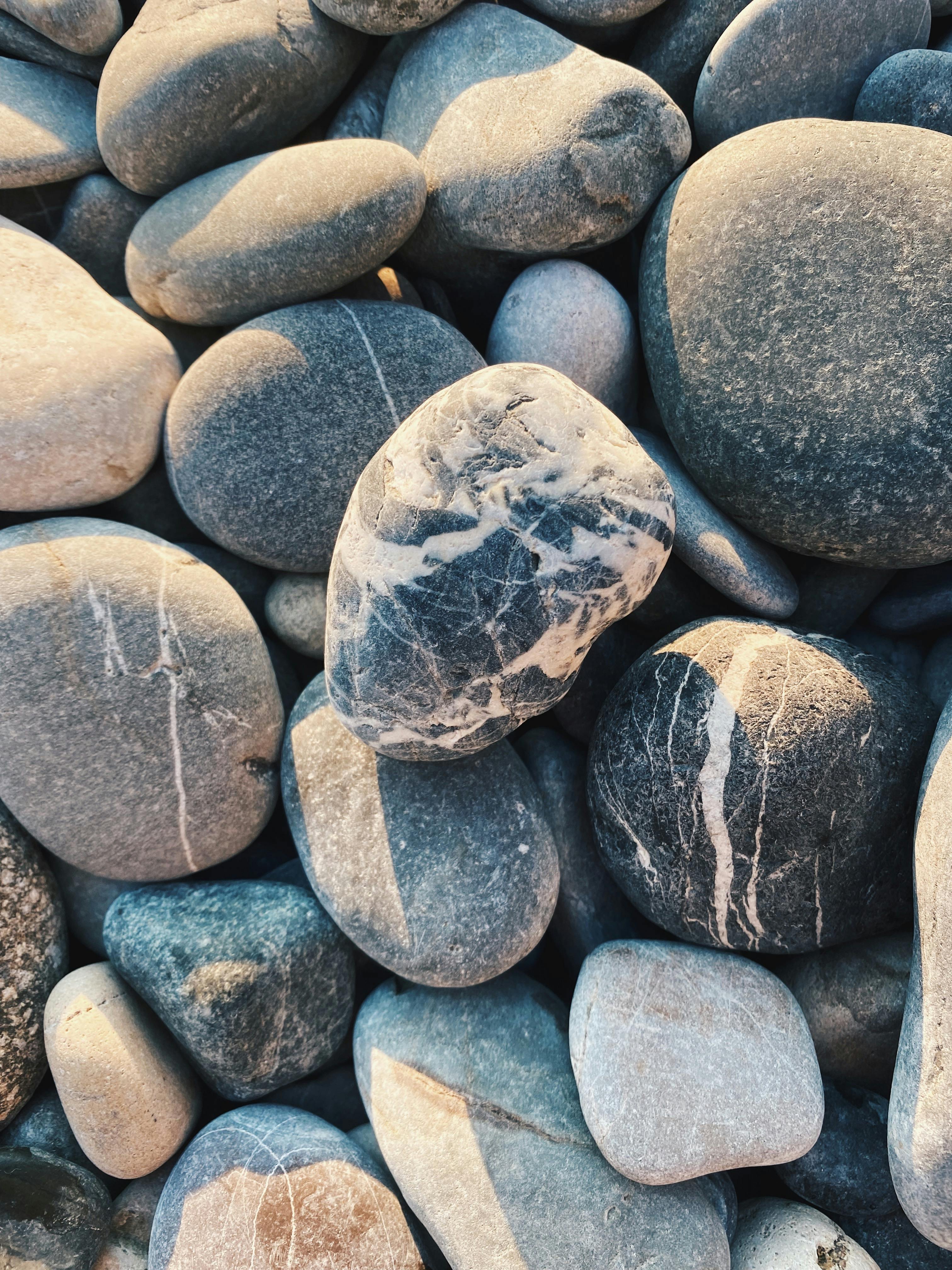 Close-Up Photo of Pebbles · Free Stock Photo