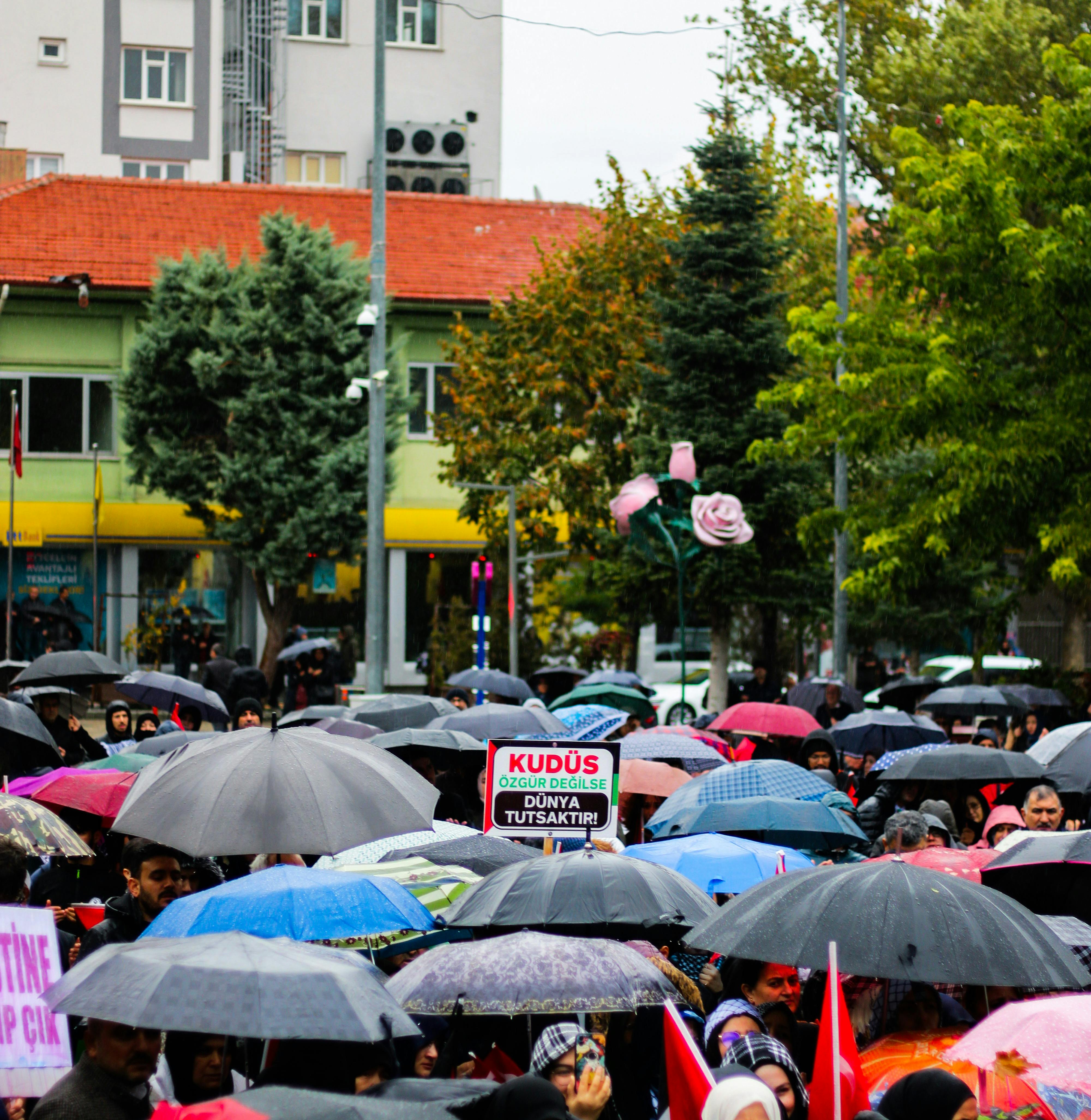 A group of people holding umbrellas · Free Stock Photo
