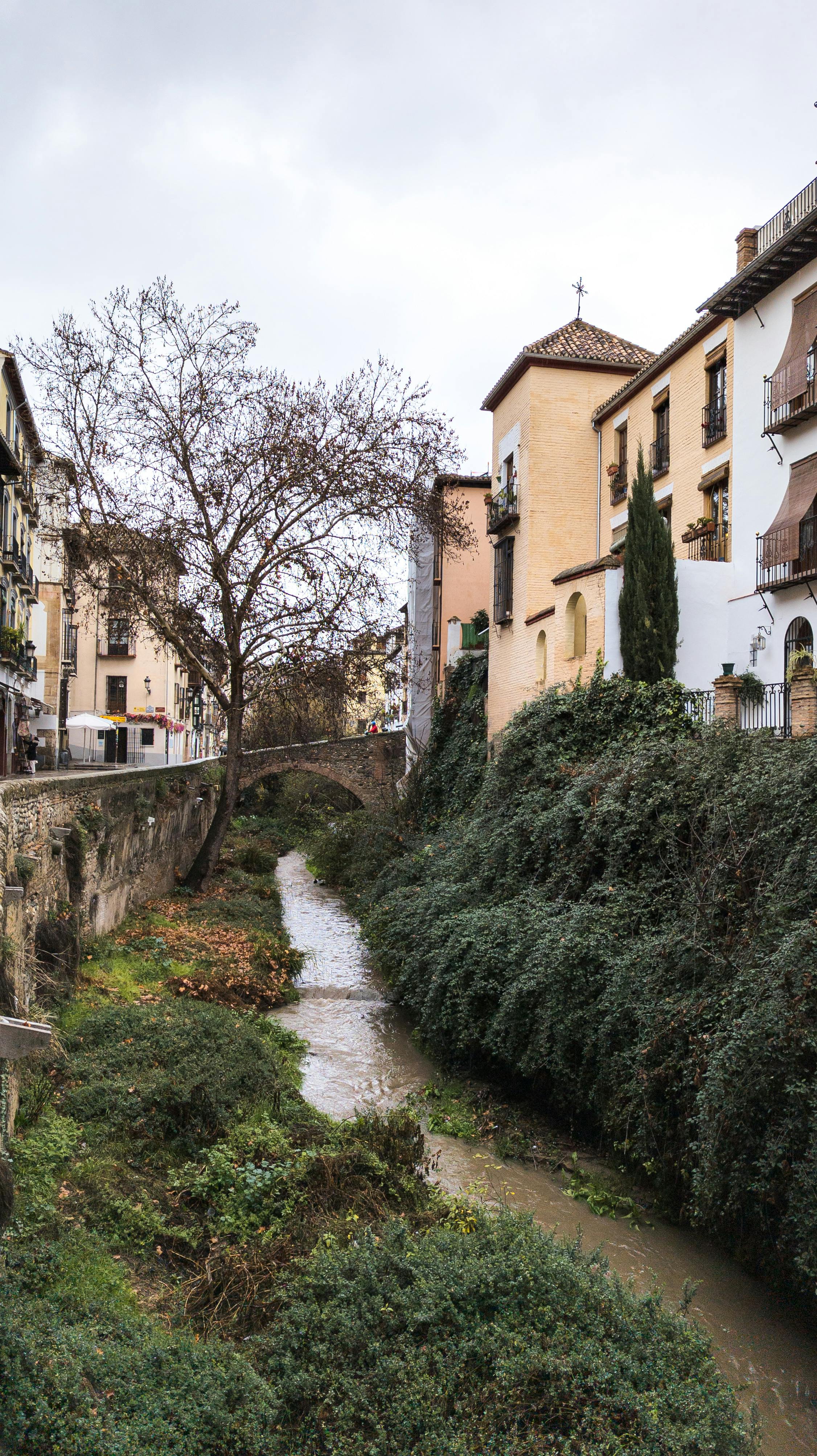 River between Buildings in Town · Free Stock Photo