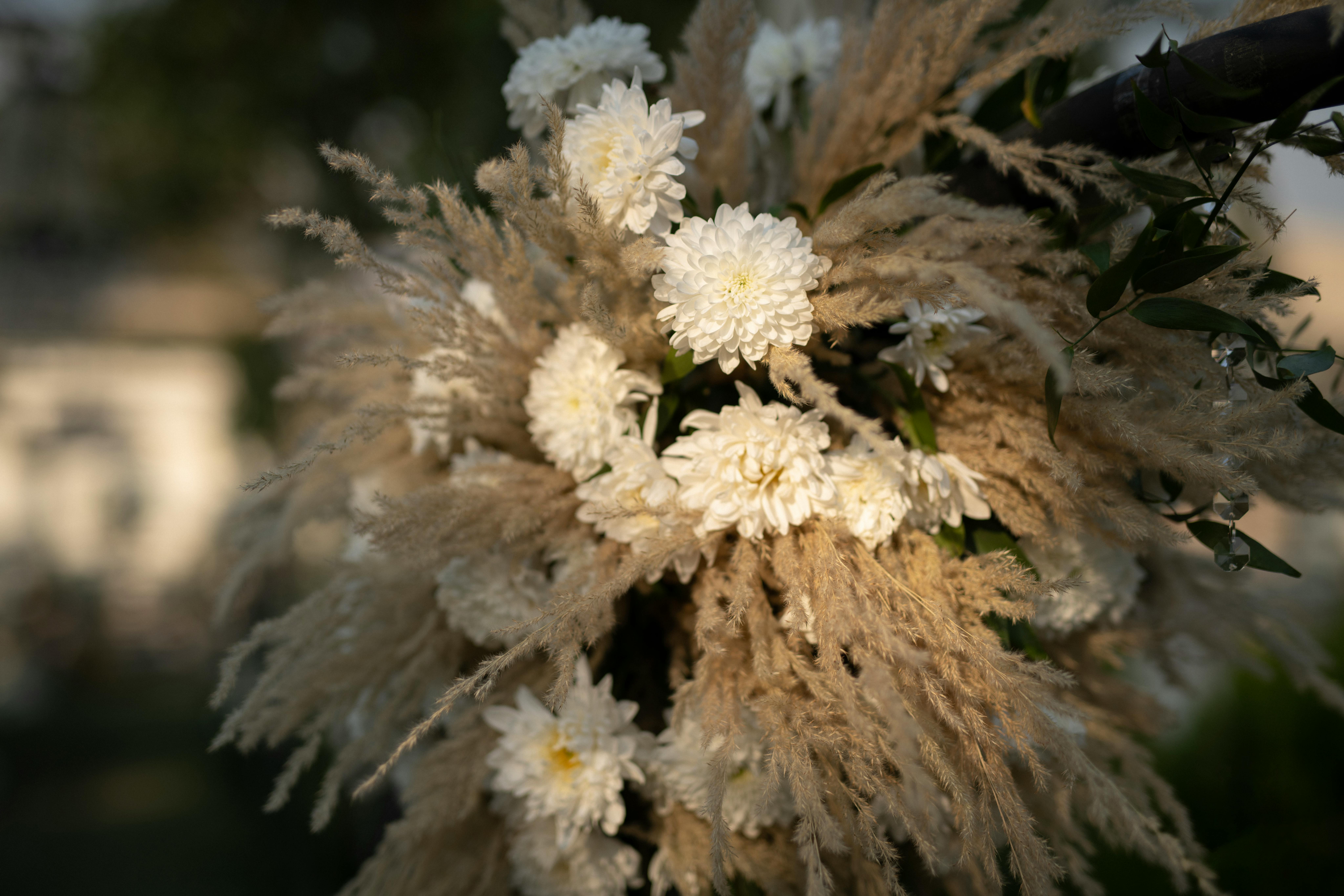 Close up of White Flowers Decoration · Free Stock Photo