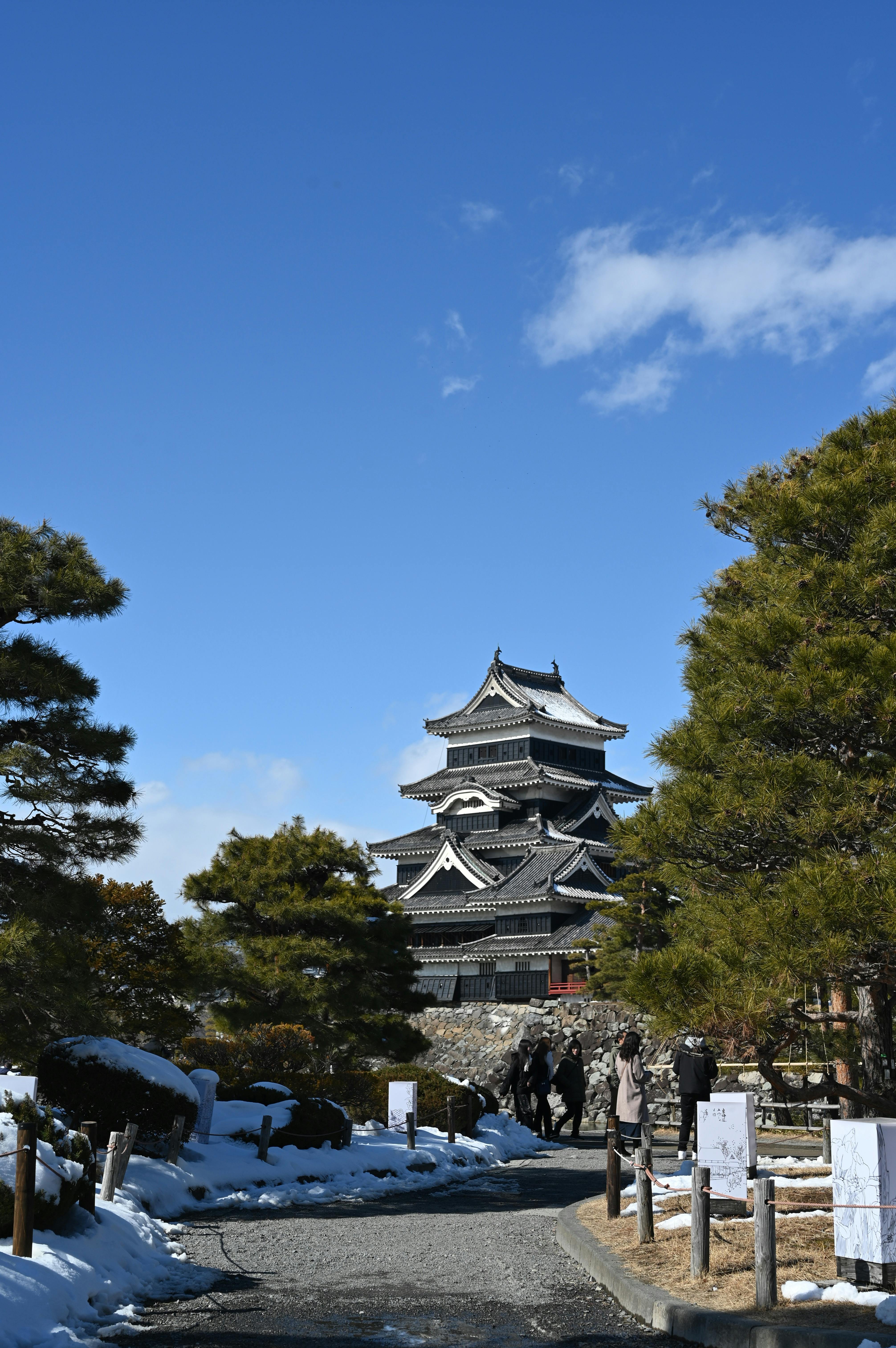 Jo Photos, Download The BEST Free Jo Stock Photos & HD Images