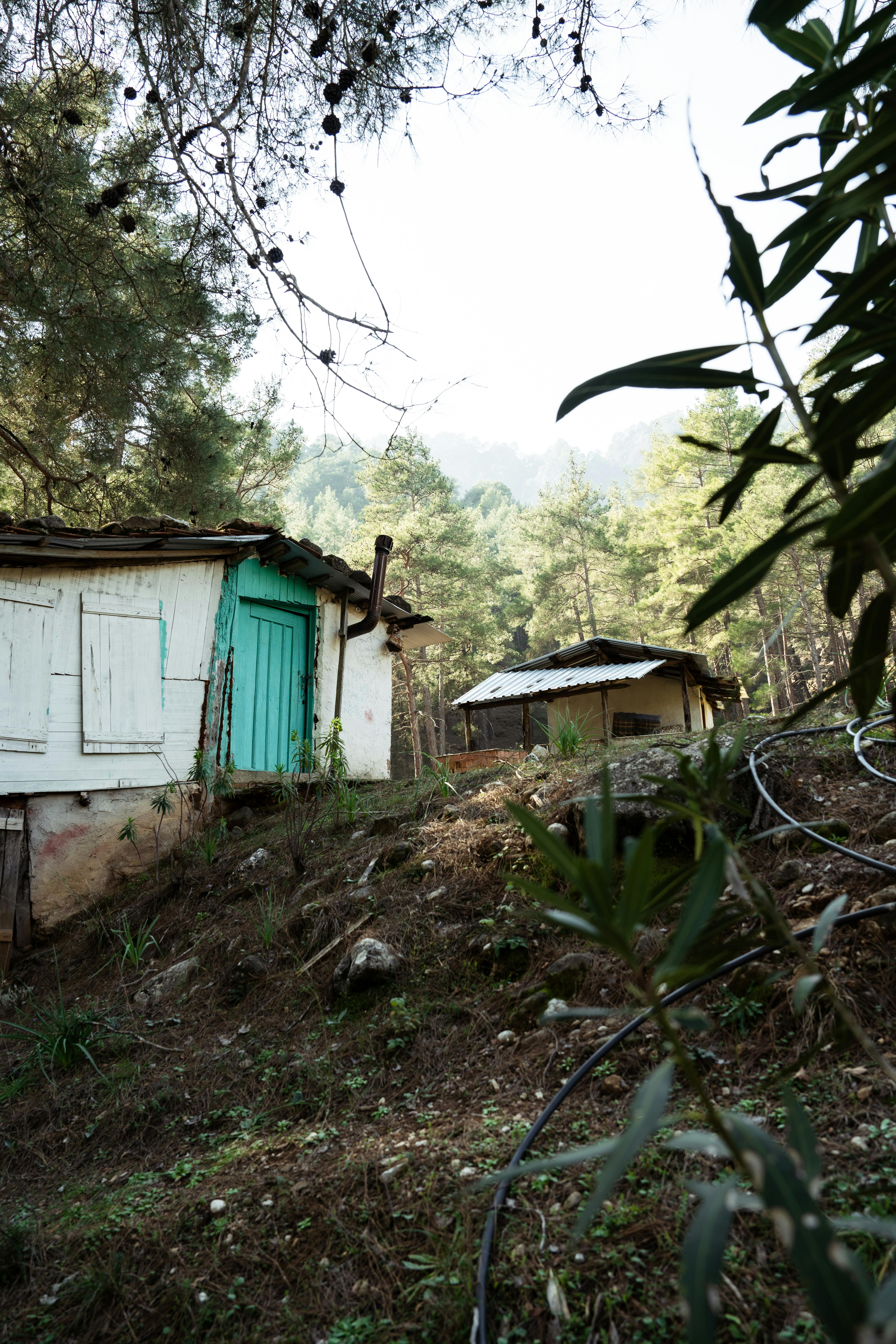A small shack in the woods with a green door · Free Stock Photo