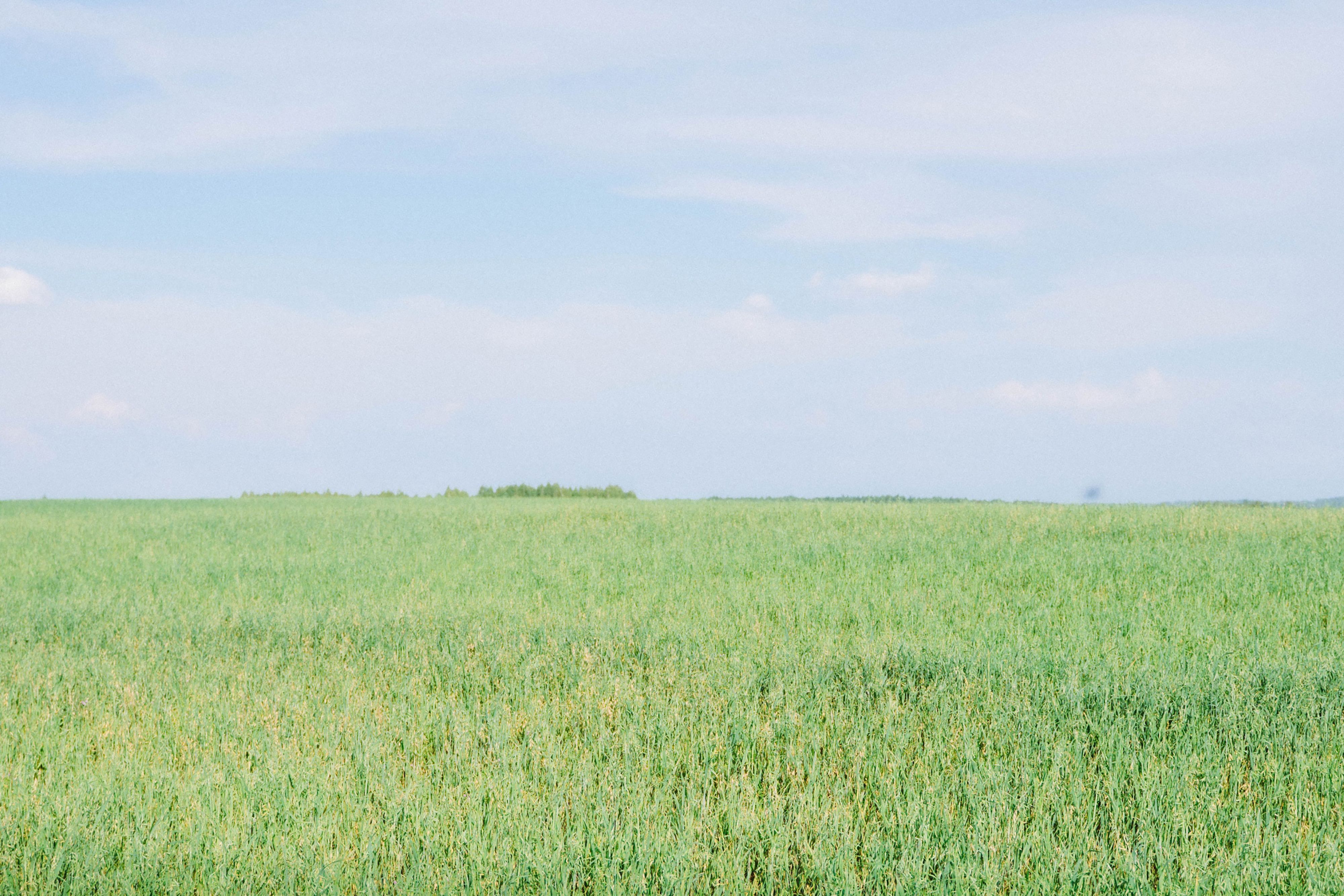Rural Field on Plains · Free Stock Photo