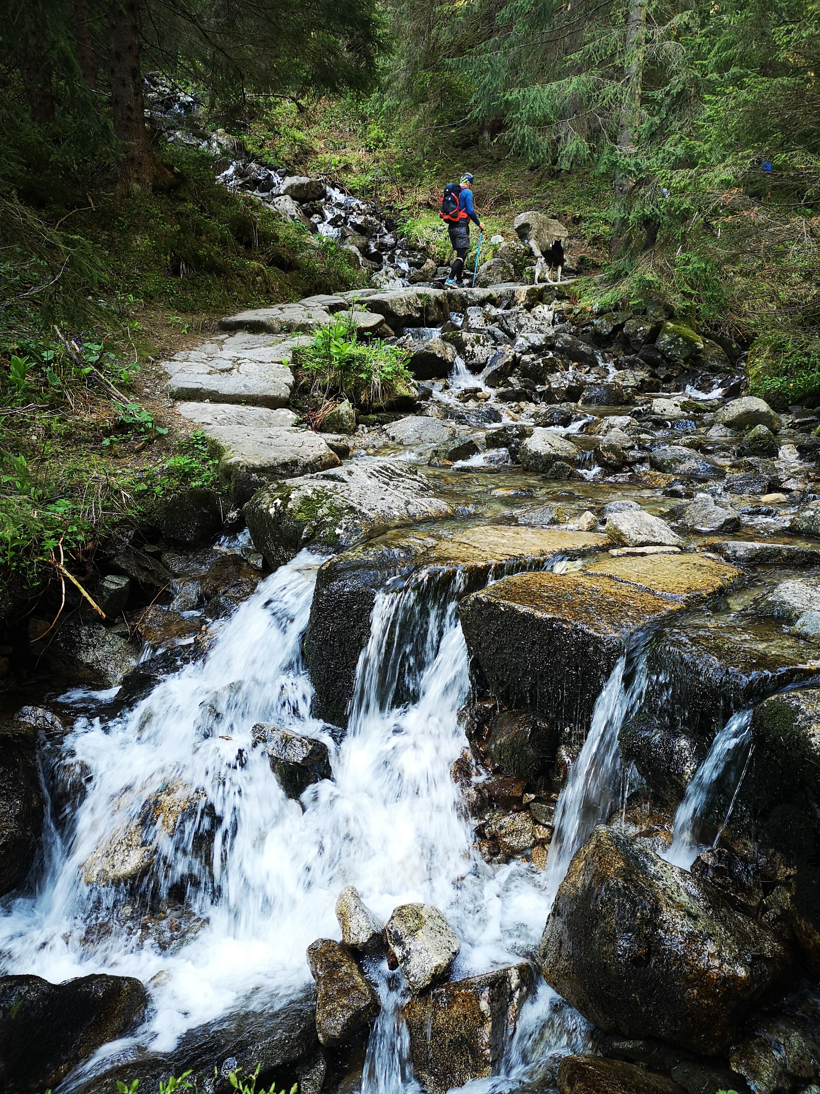 Waterfall on Stream in Forest and Person Hiking behind · Free Stock Photo