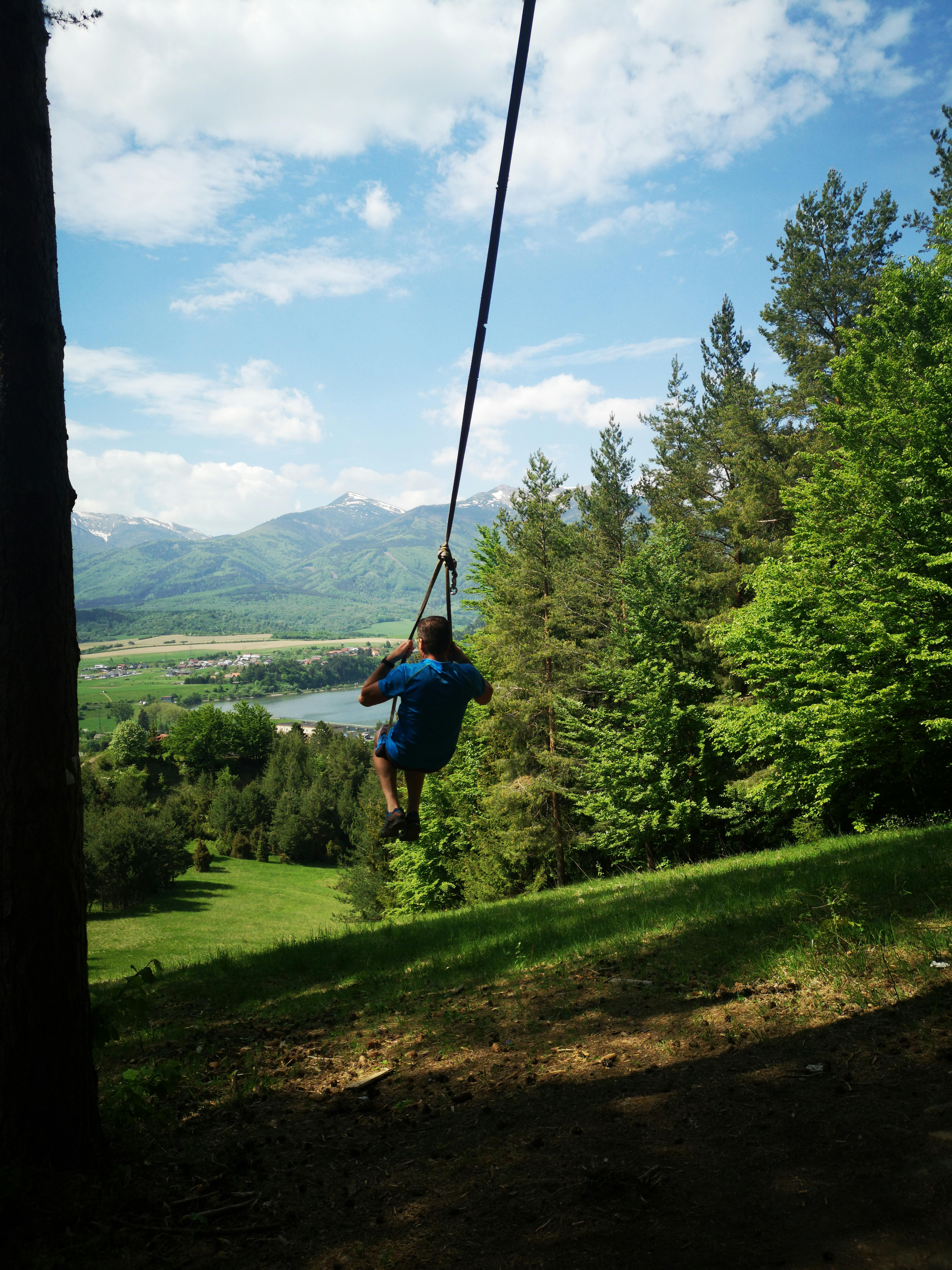 A person swinging on a rope in the woods · Free Stock Photo