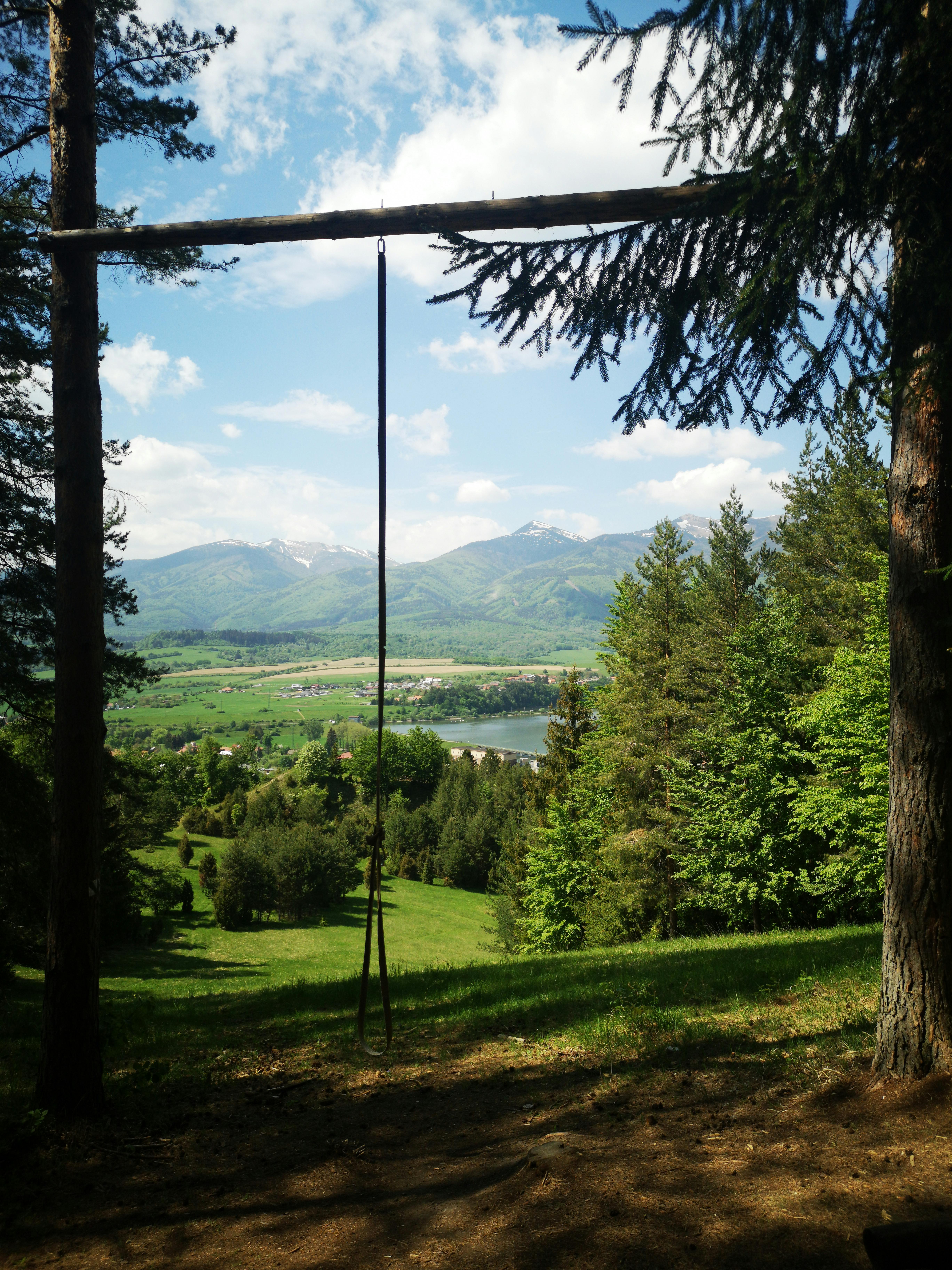Photo Of Swing Under Tree · Free Stock Photo