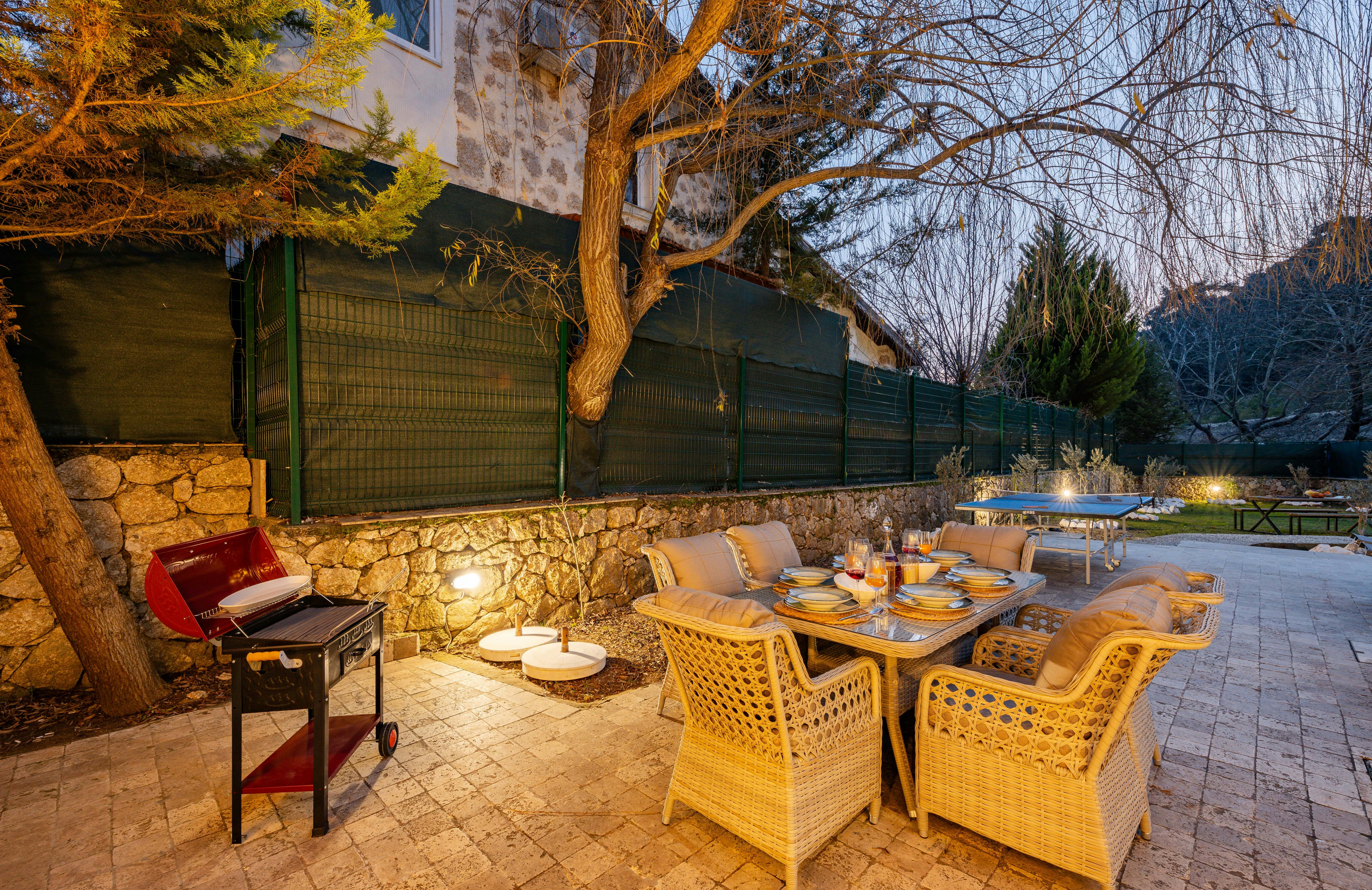 Dinner Table and Barbecue under Tree · Free Stock Photo