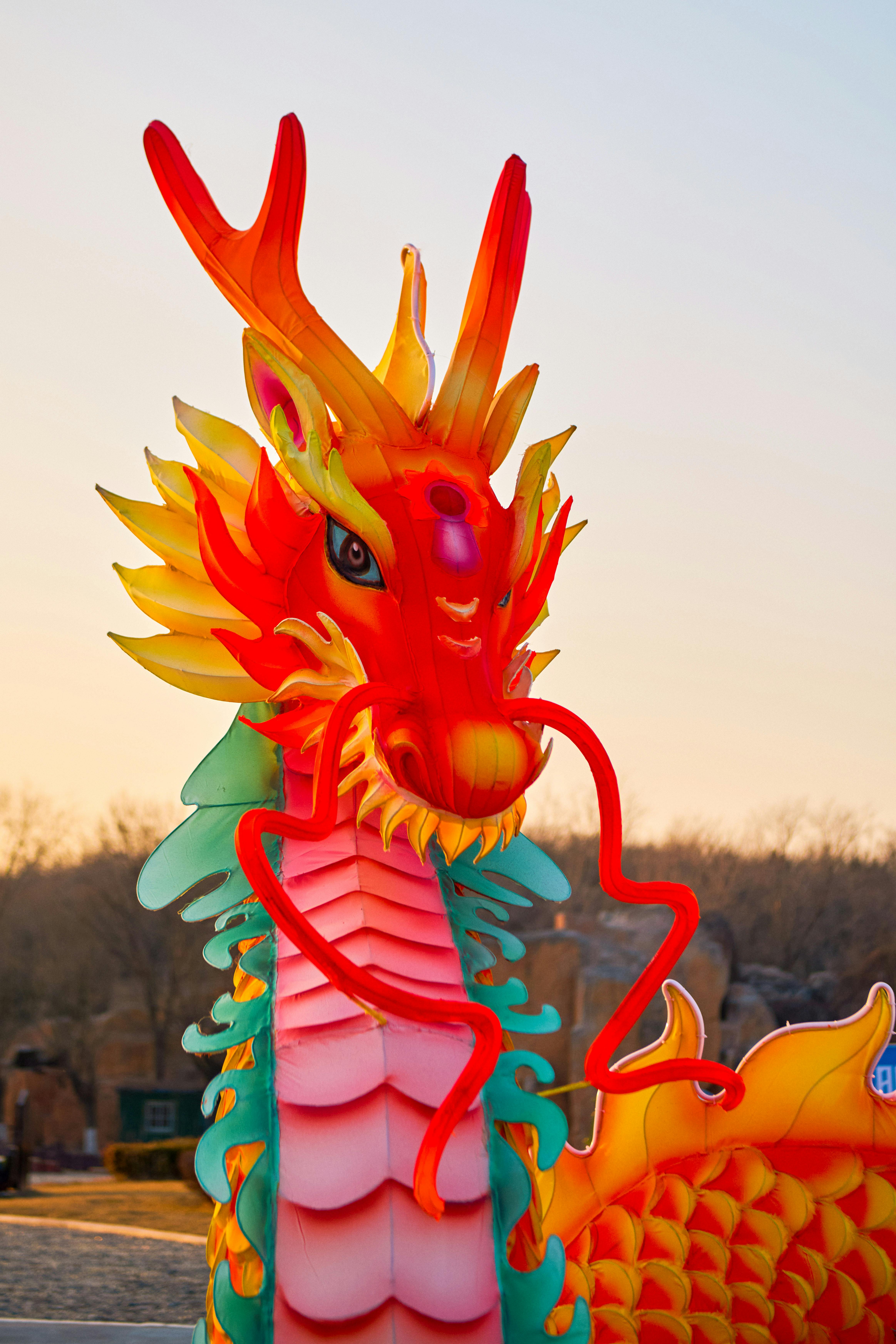Red Dragon Decoration · Free Stock Photo