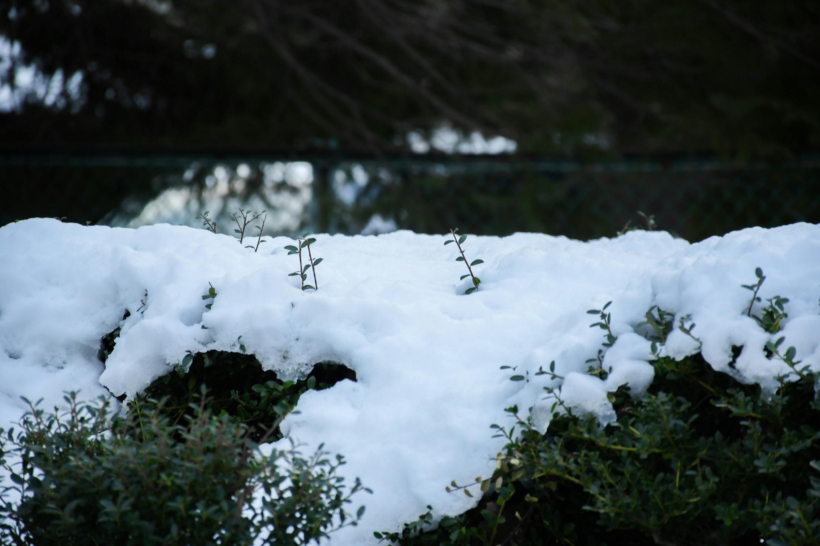 Kento Ikeda - Photography