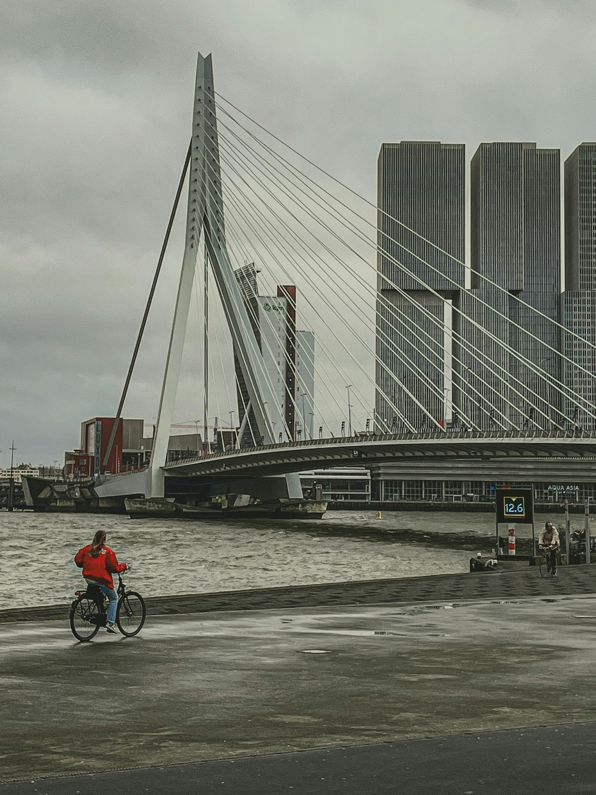Cyclists on the Promenade by the Erasmus Bridge in Rotterdam · Free ...
