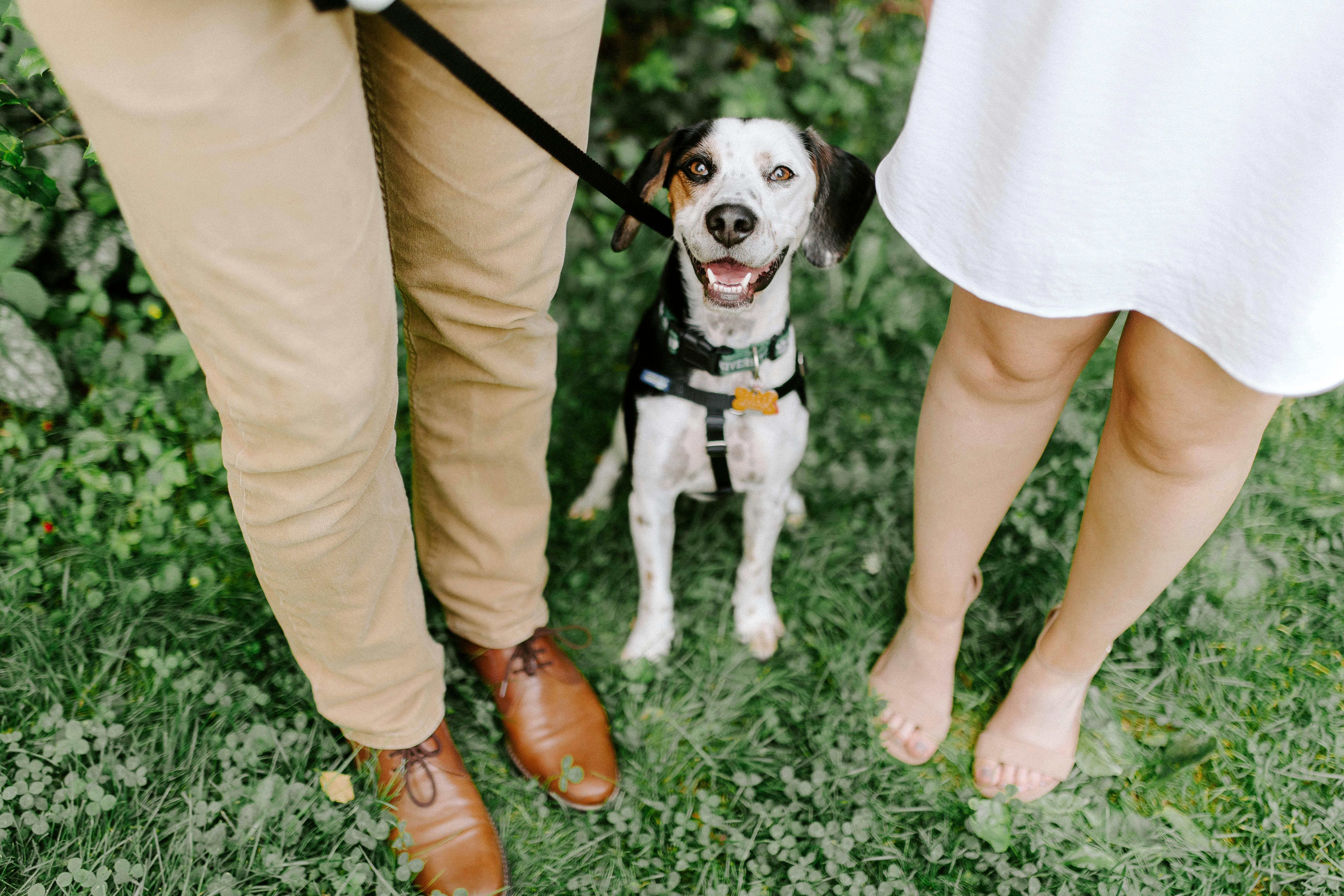 A Couple with a Dog · Free Stock Photo