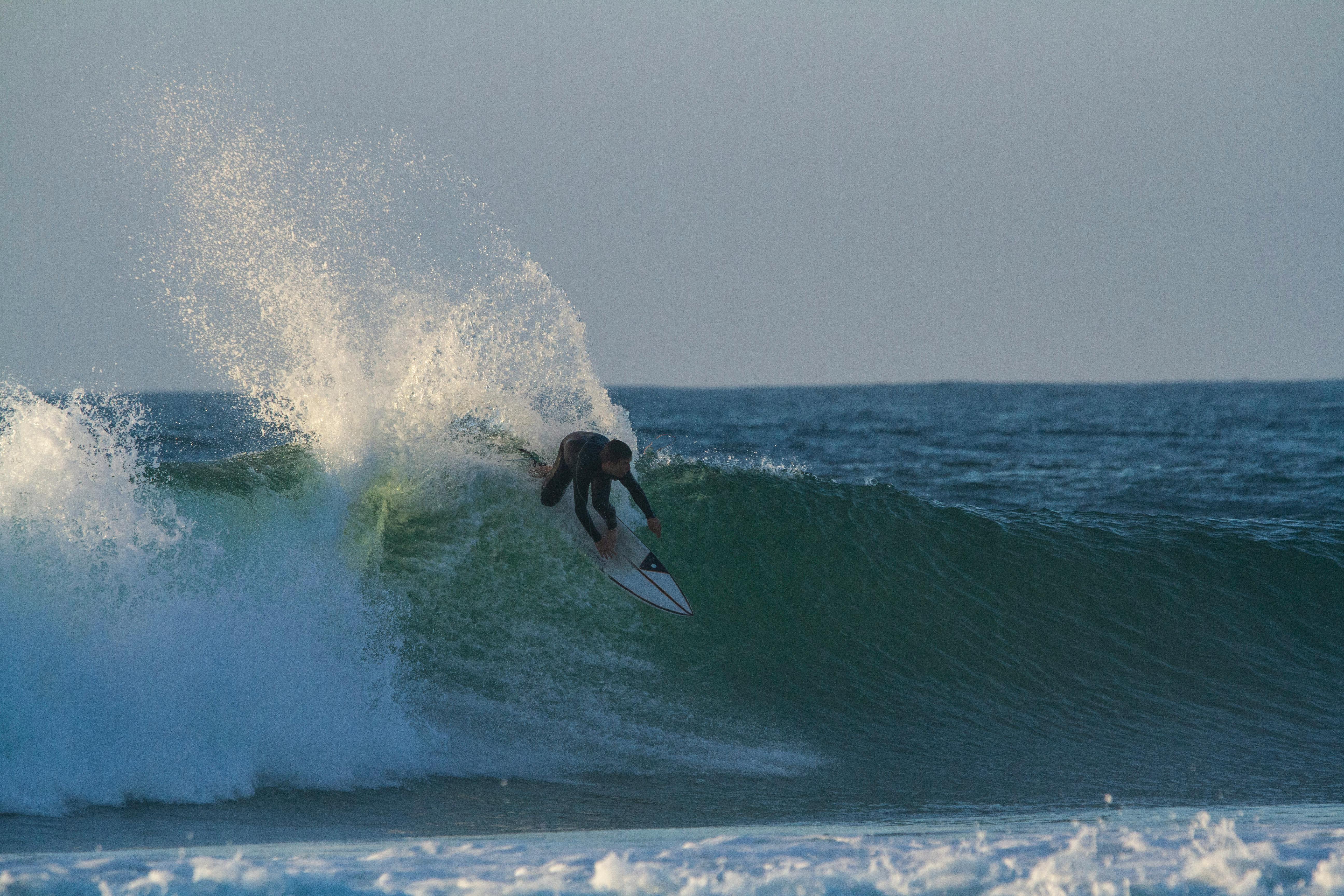 Surf Bee Photos, Download The BEST Free Surf Bee Stock Photos & HD Images