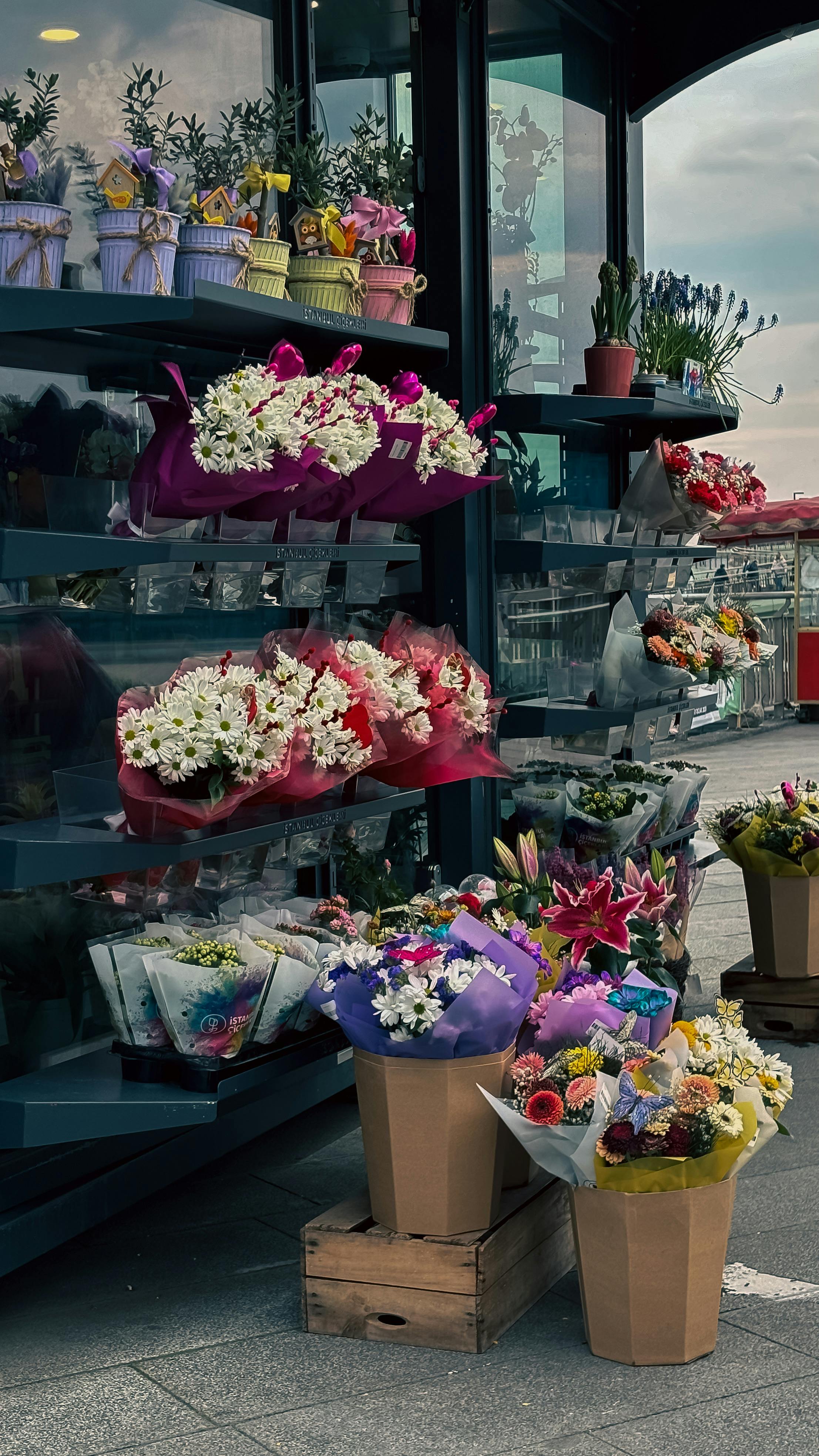 Variety of Flowers · Free Stock Photo