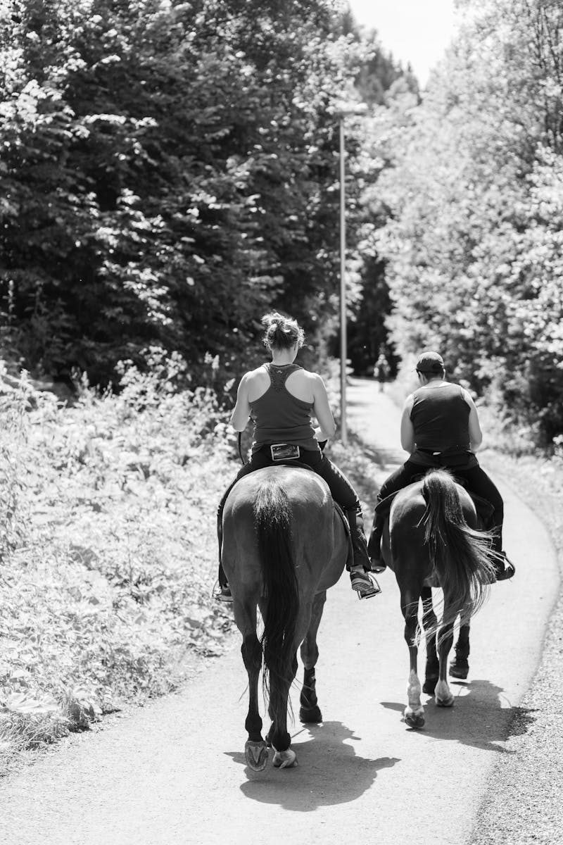 Horseback Riding Photos, Download The BEST Free Horseback Riding Stock ...