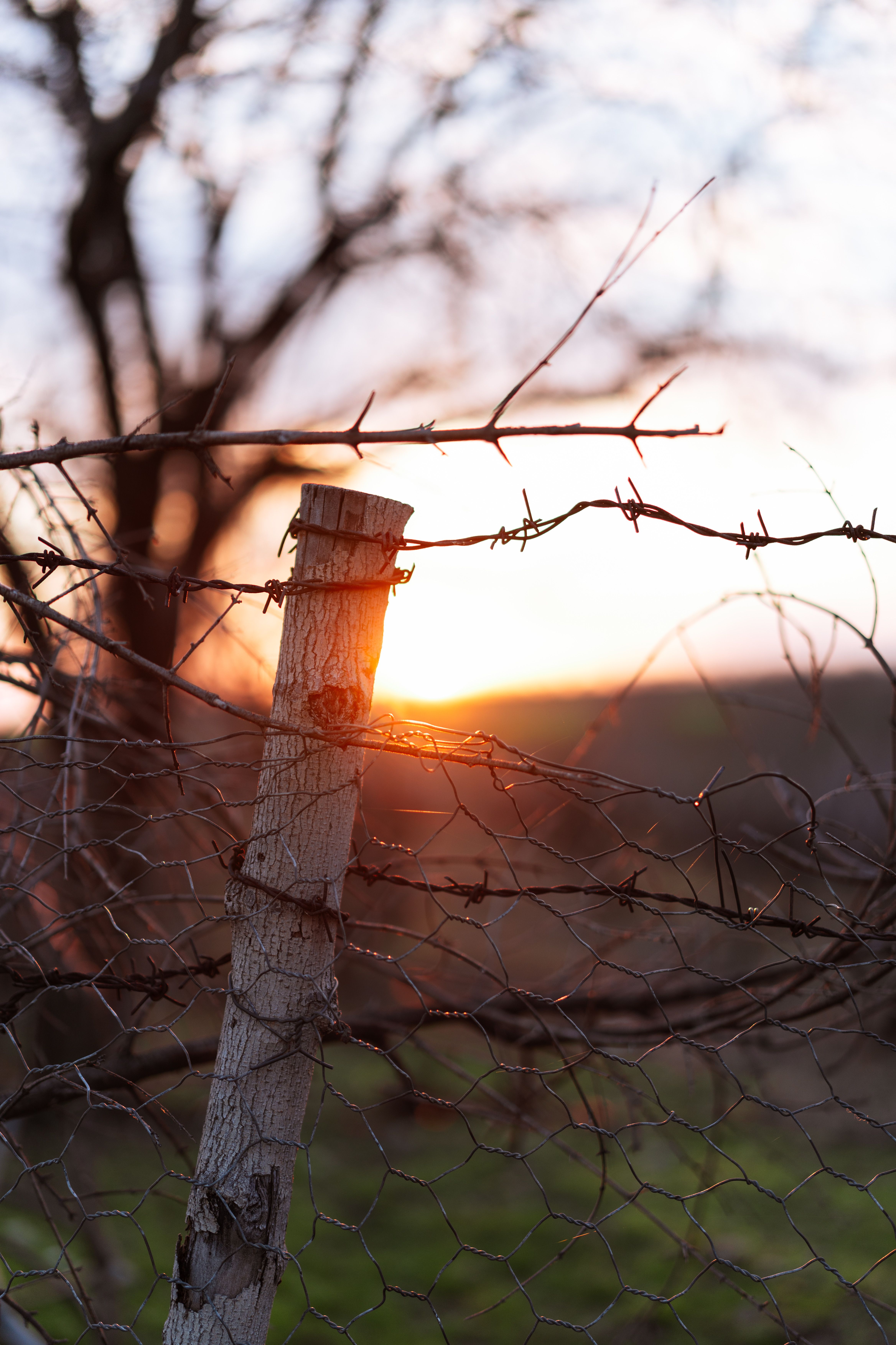 Close-up of Wooden Posts in a Barbed Wire Fence at Sunset · Free Stock ...