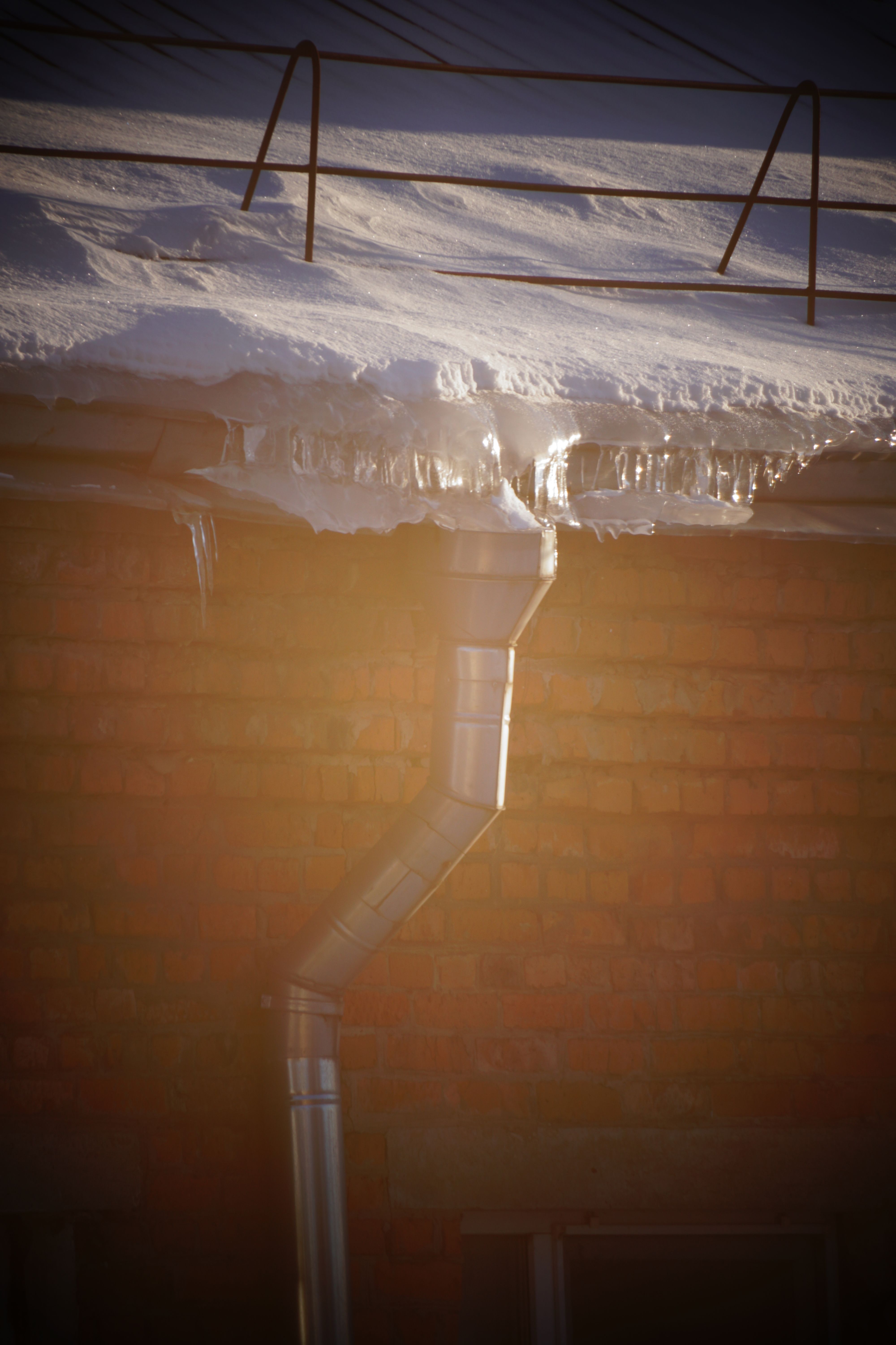 BREAKS OUT - Photography
