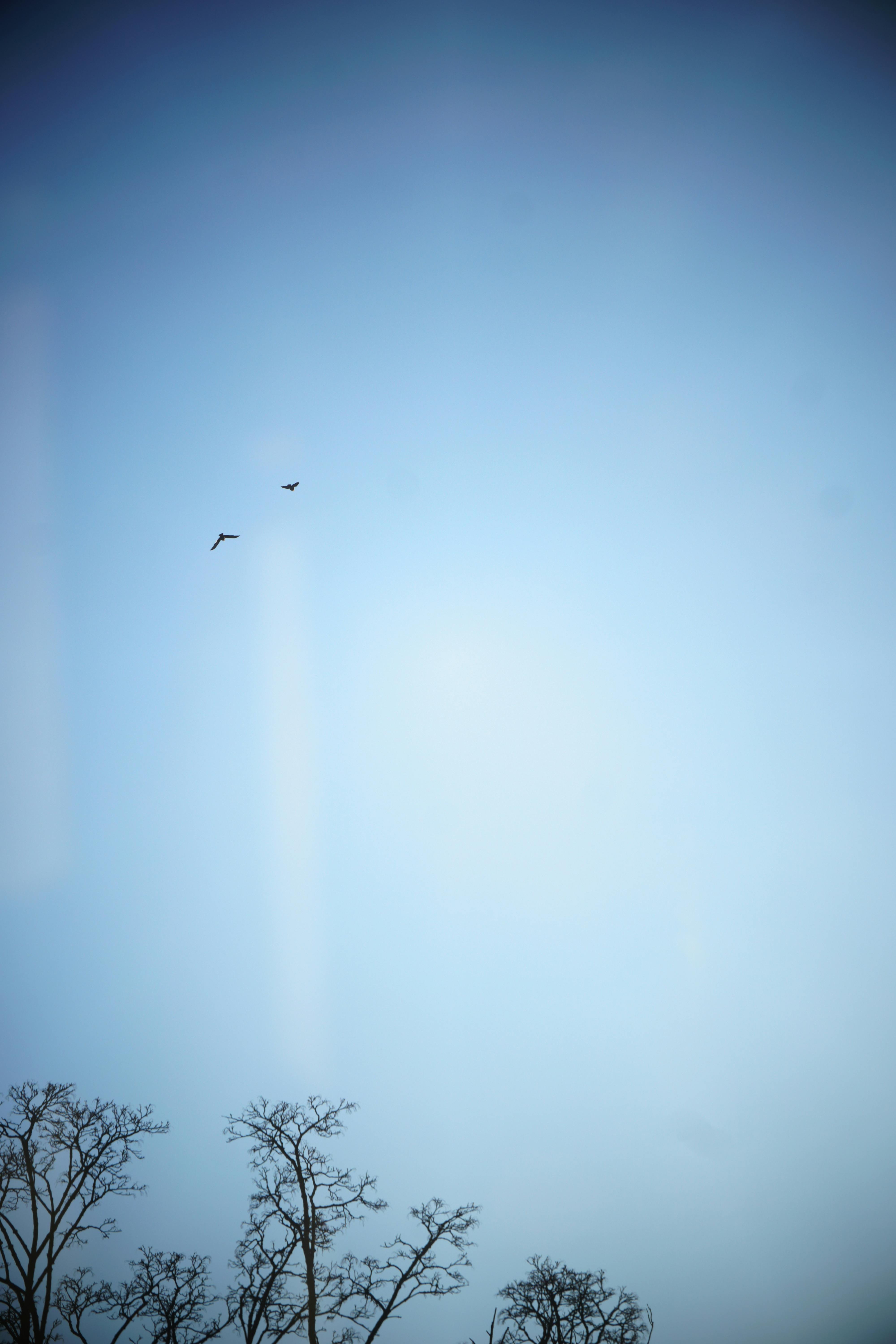 BREAKS OUT - Photography