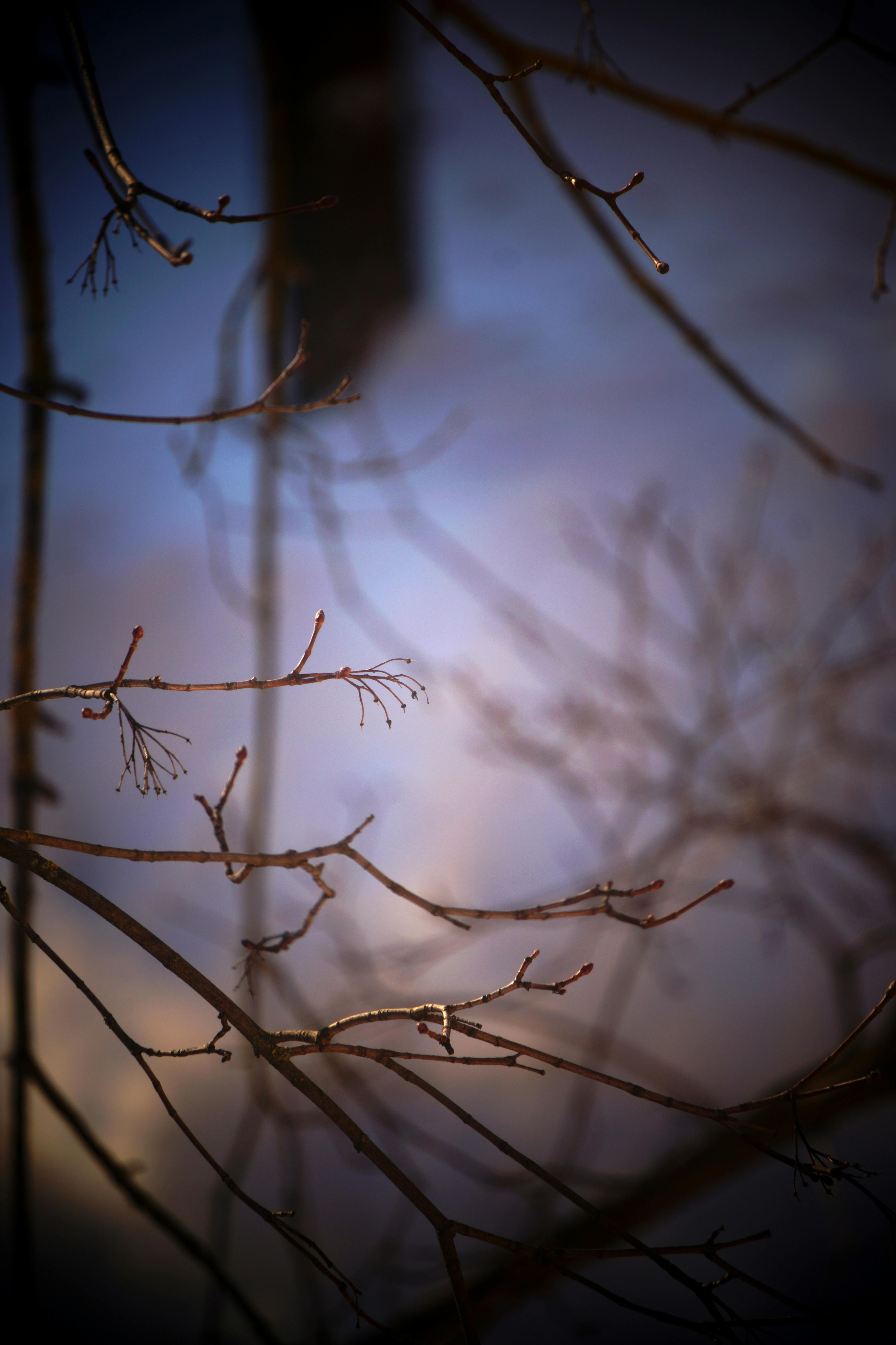 BREAKS OUT - Photography