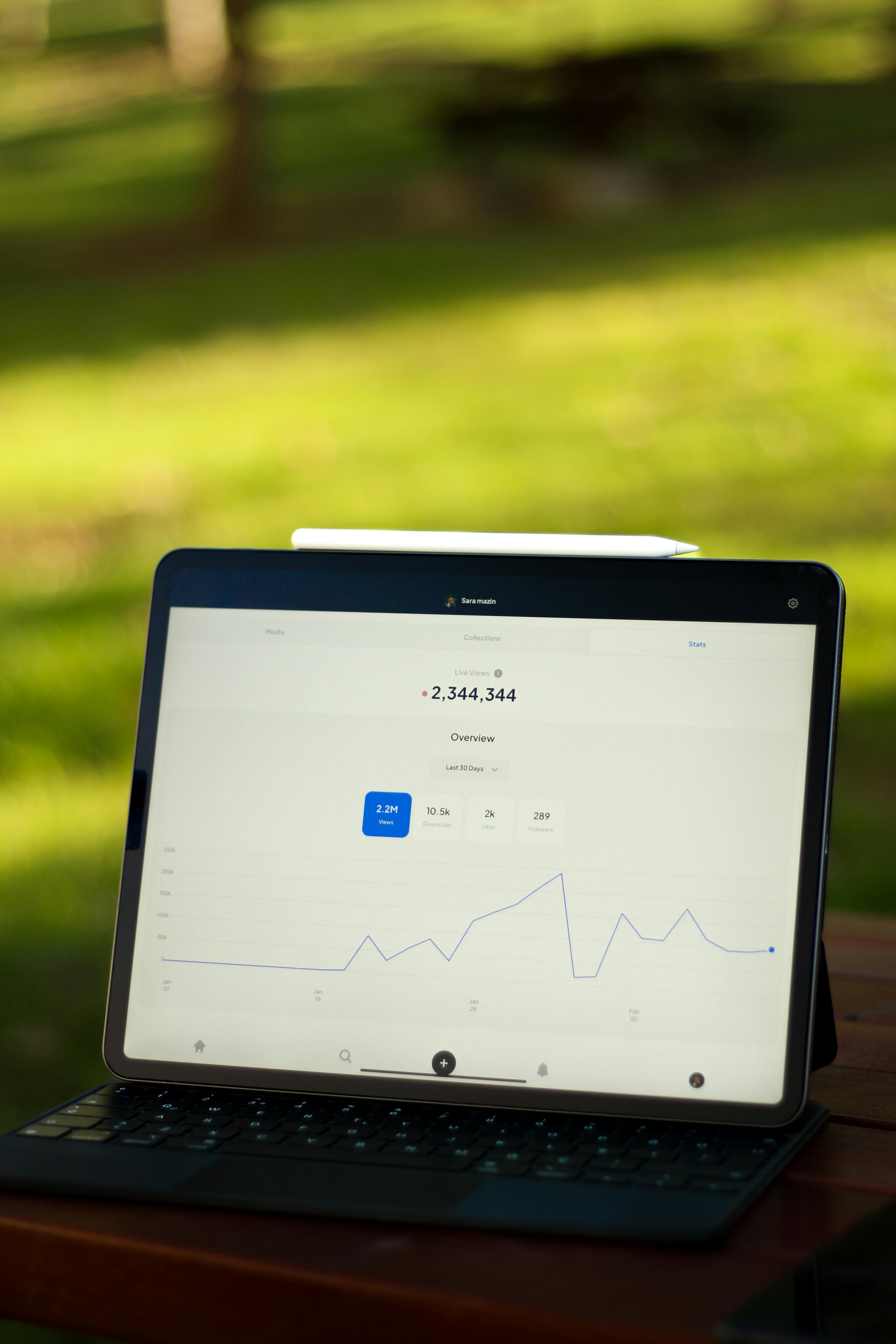 Chart on Laptop Screen · Free Stock Photo