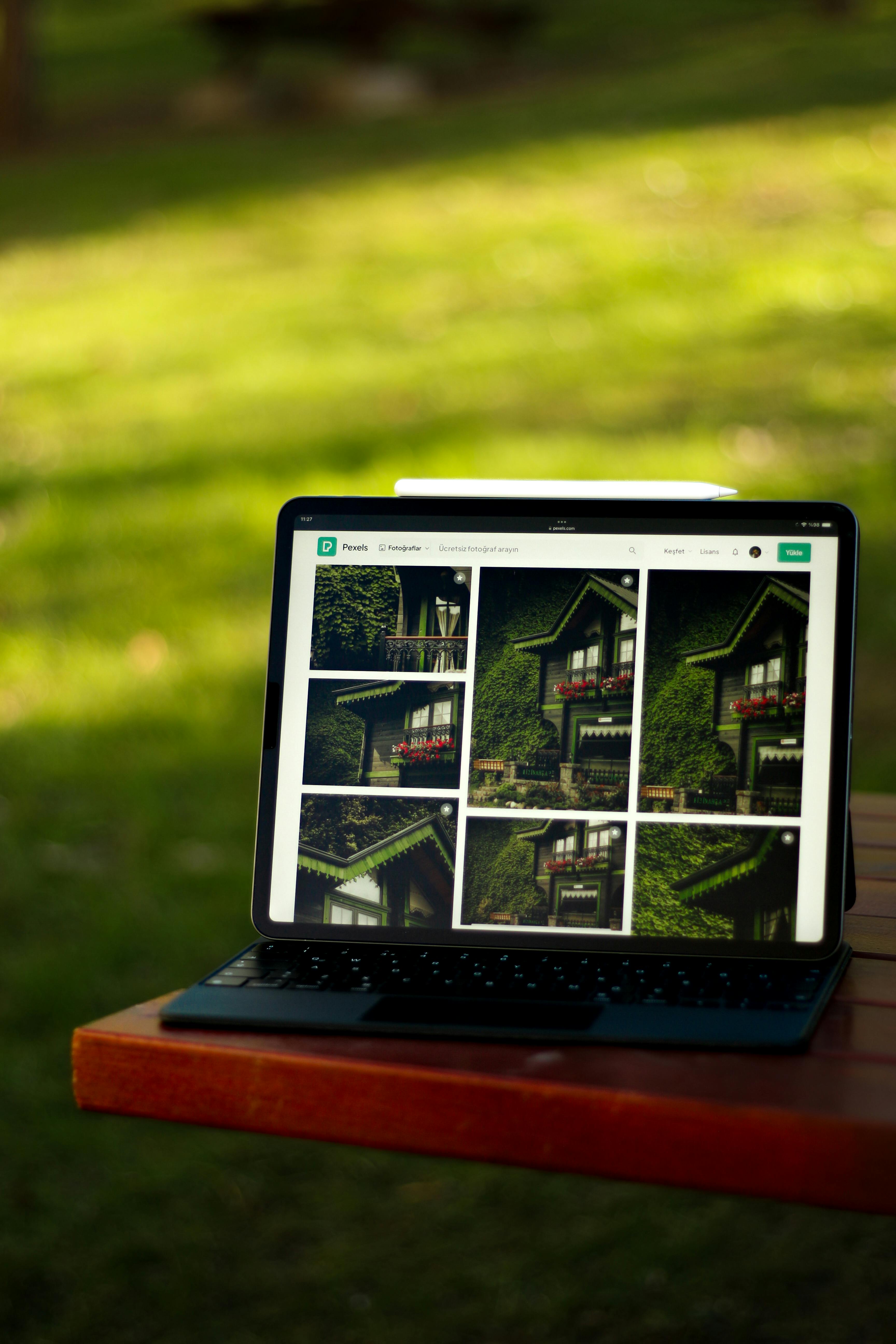 Pictures Pexels Pictures Photos, Download The BEST Free Pictures Pexels ...