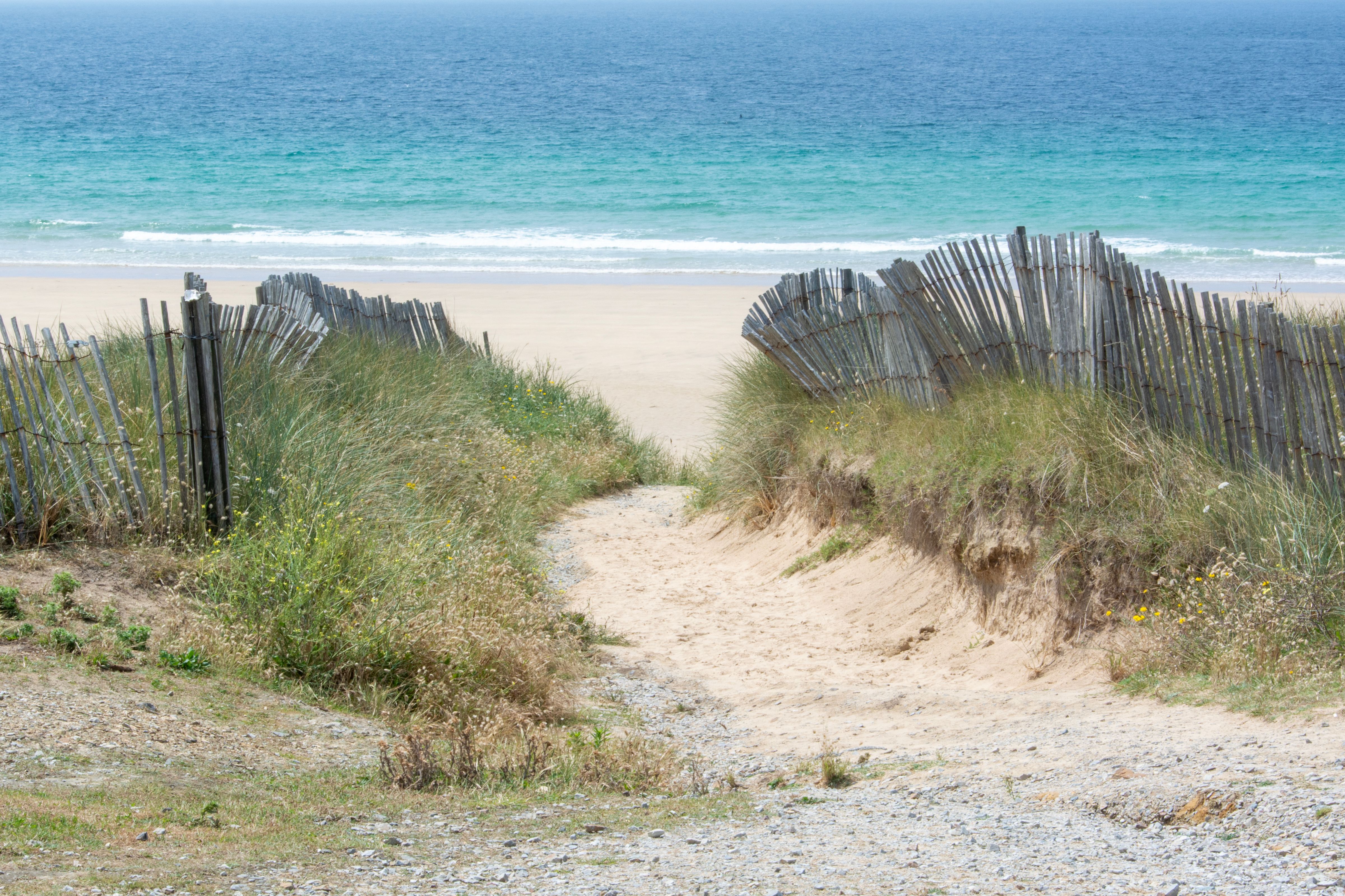 Footpath and Fence on Beach on Shore · Free Stock Photo