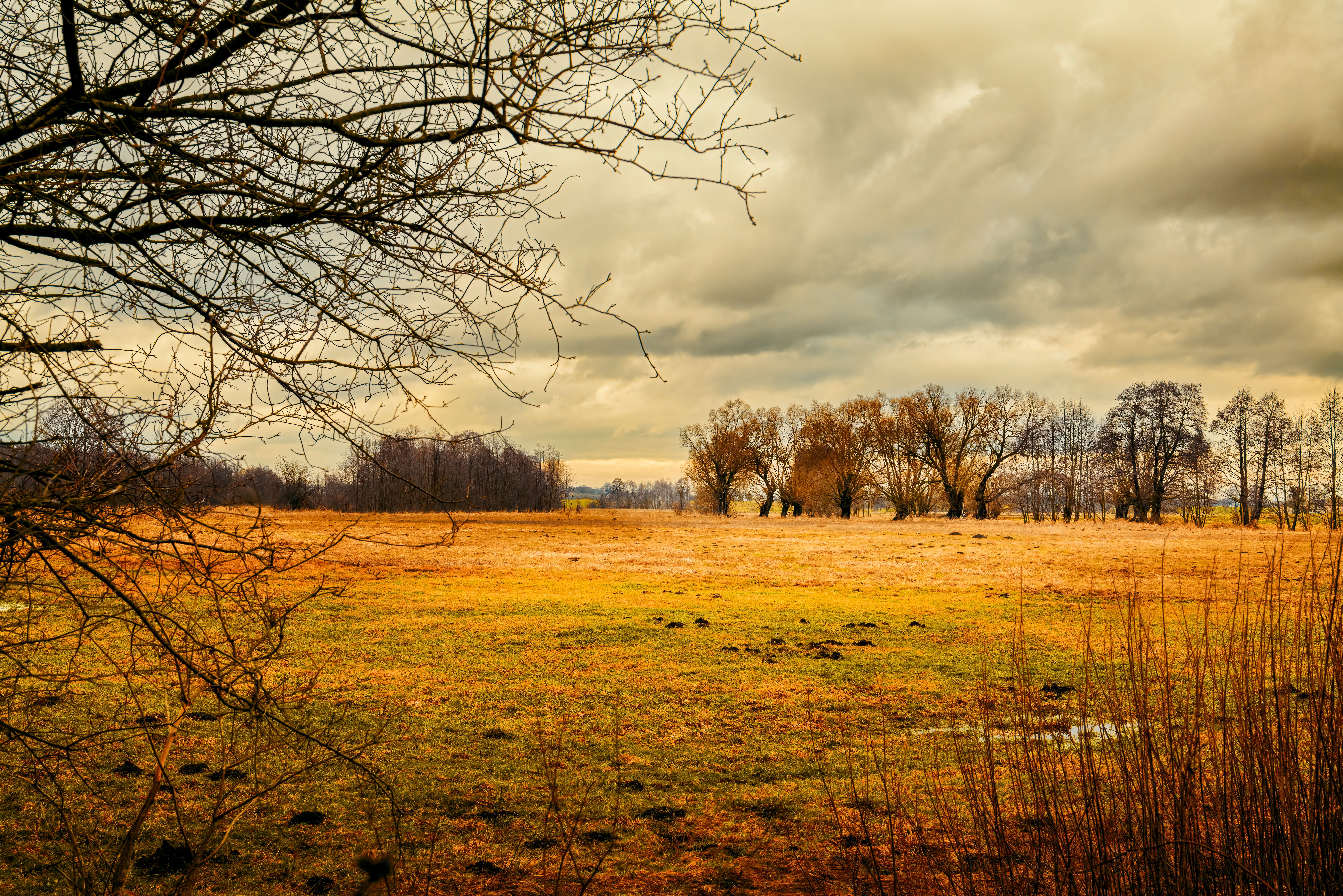 Grassland in Countryside in Autumn · Free Stock Photo