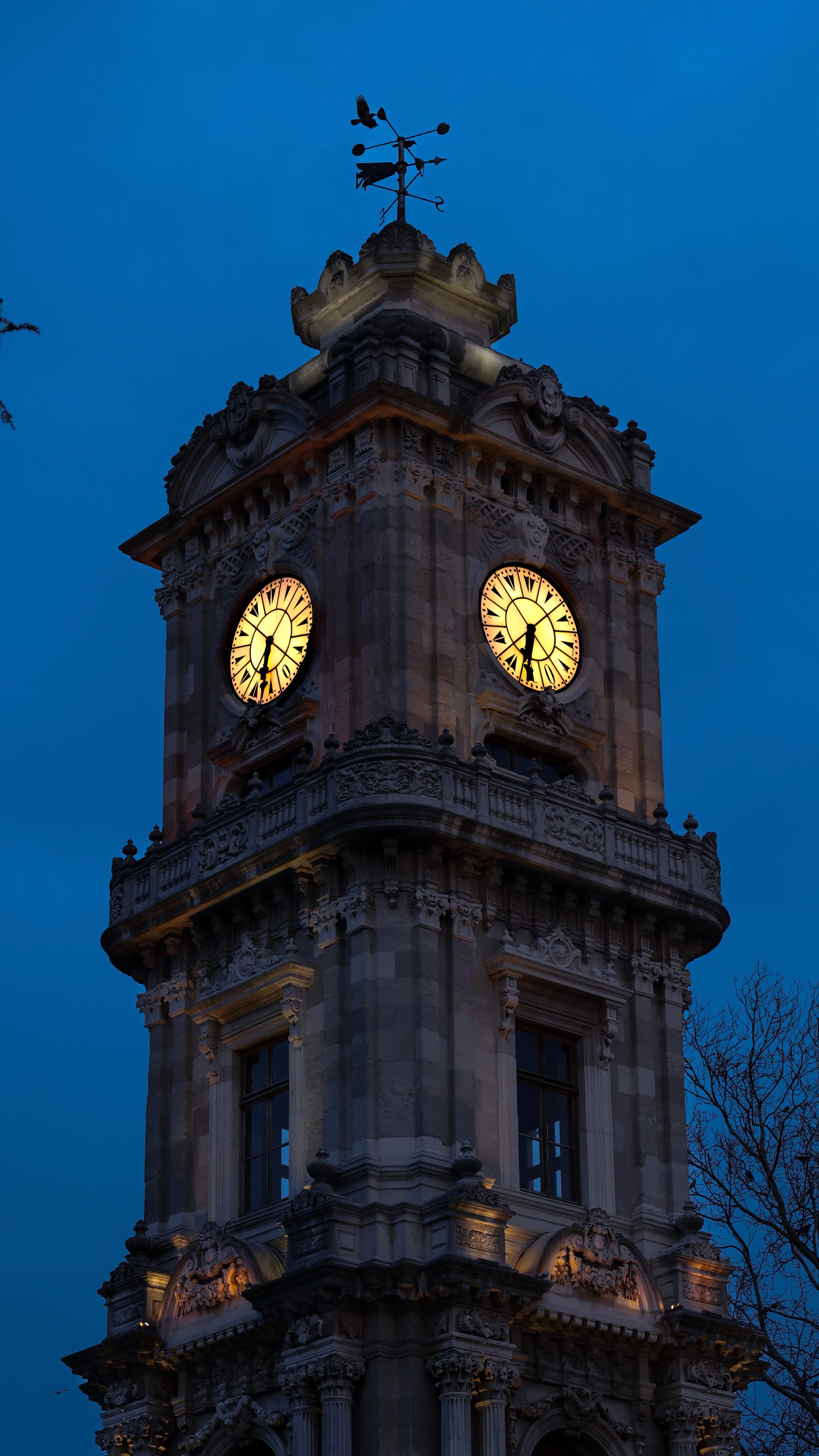 Trees around Clock Tower near Dolmabahce Sarayi · Free Stock Photo