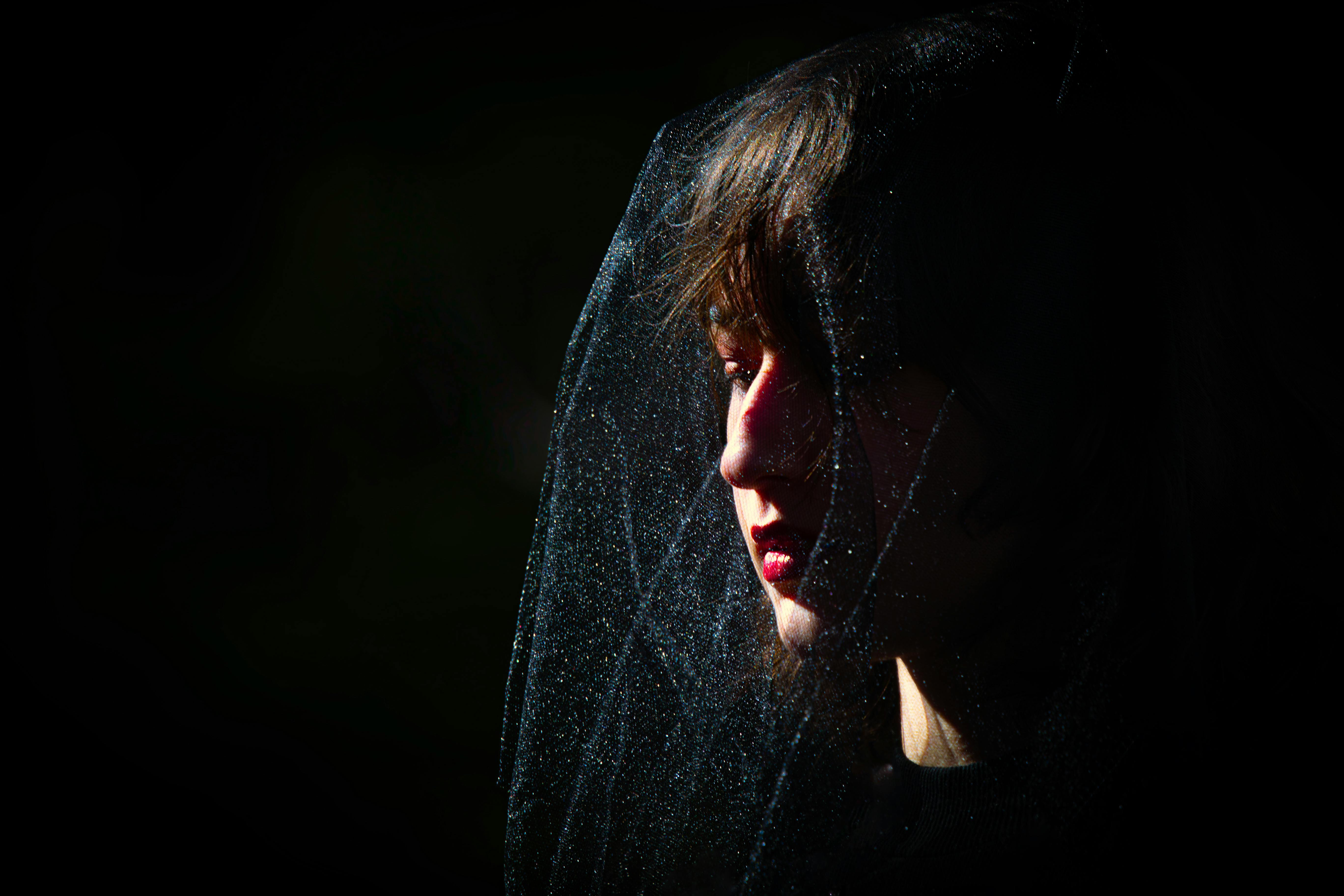 Woman Face in Veil in Darkness · Free Stock Photo