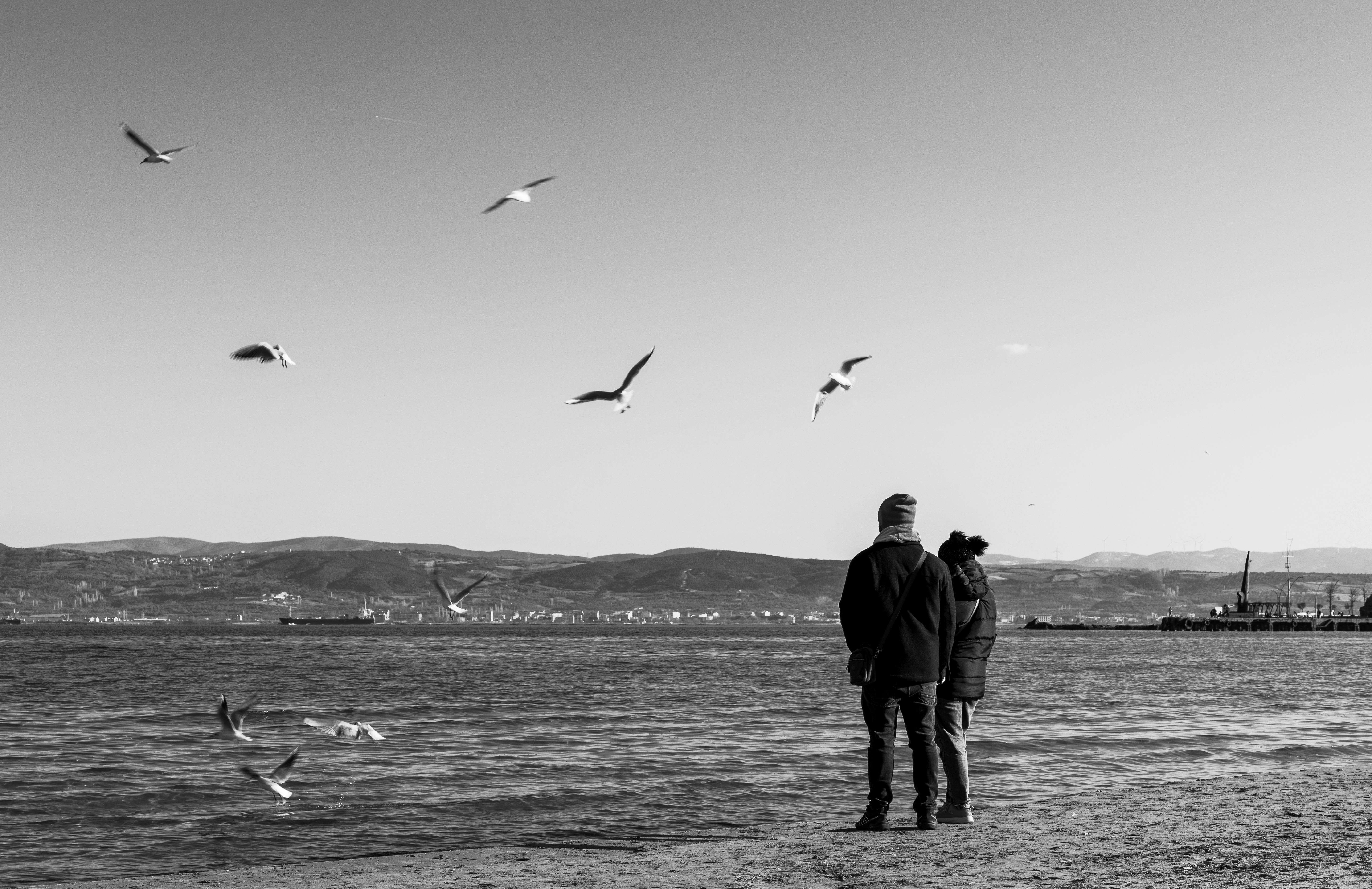Couple on Beach in Cold Weather · Free Stock Photo