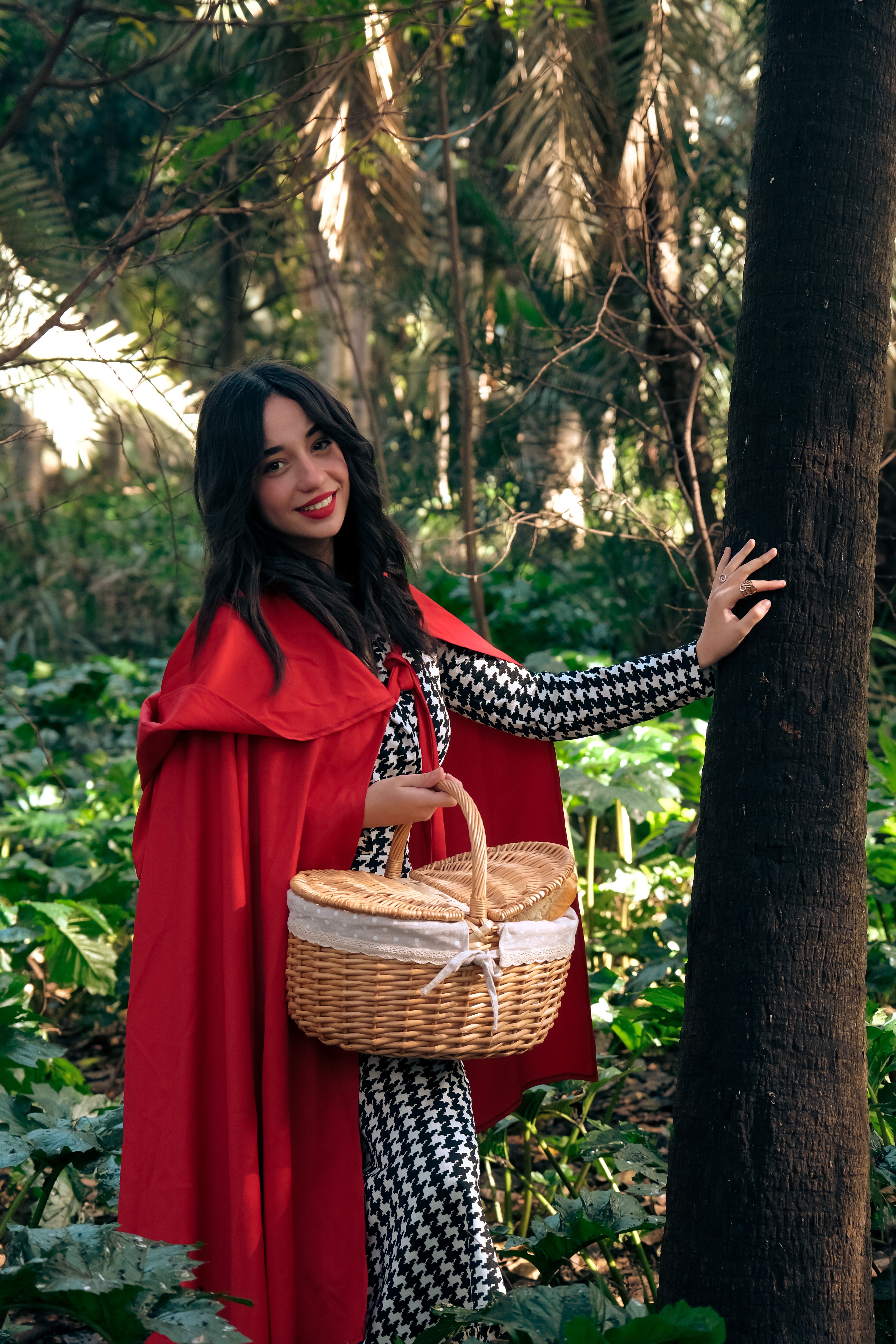 Woman in Red Cloak and with Basket in Forest · Free Stock Photo