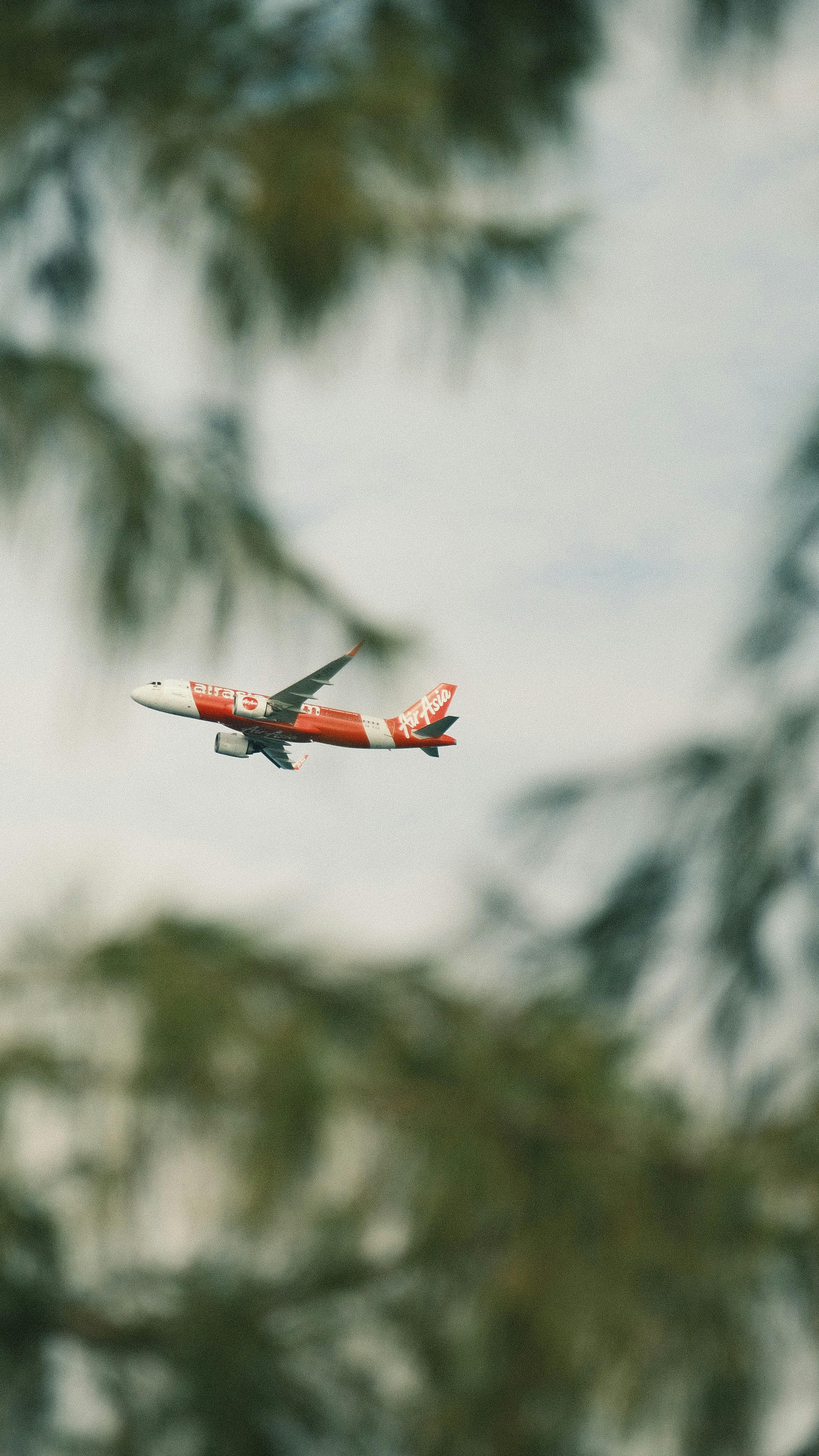 Airplane in Flight · Free Stock Photo