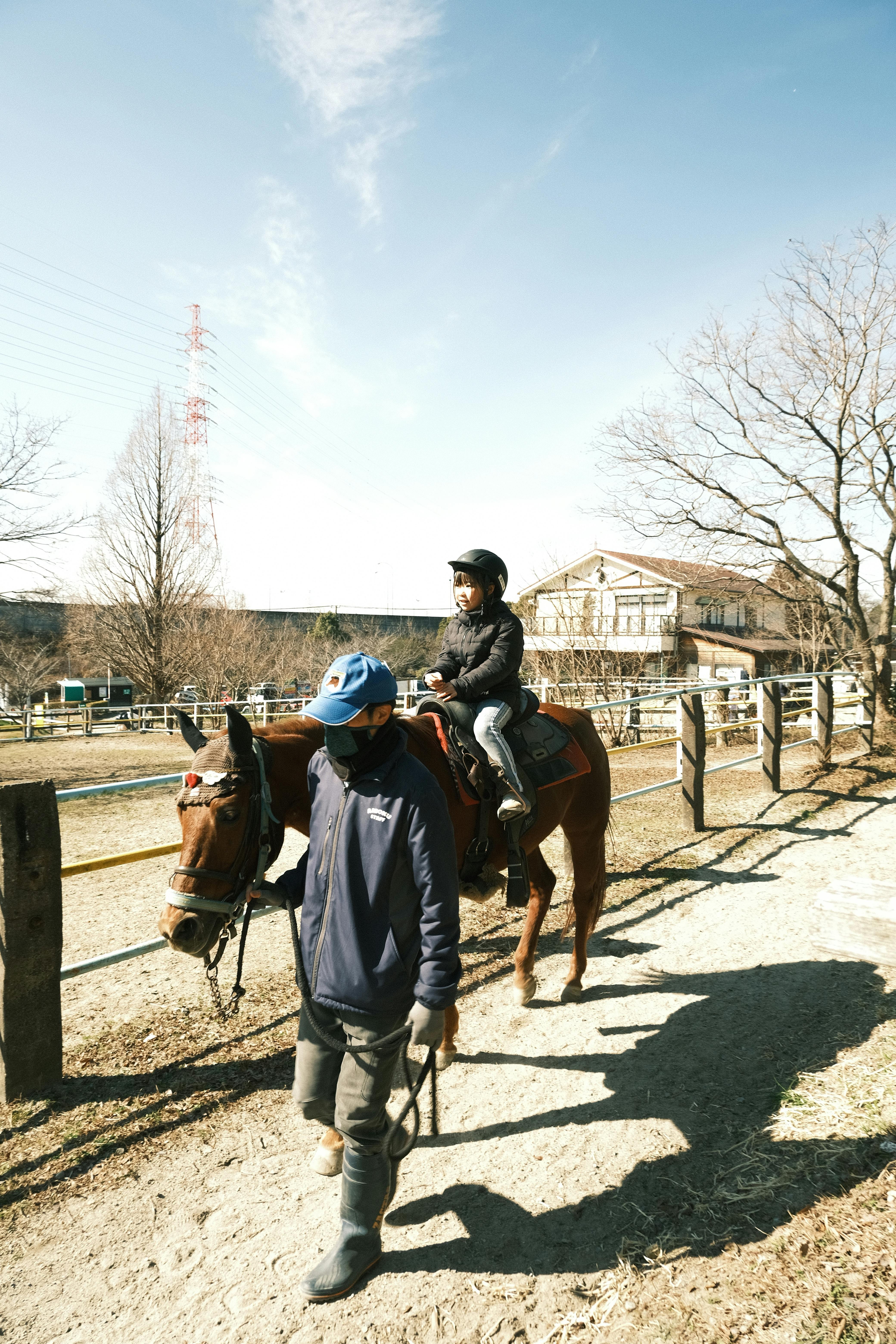 Toyota Technical Instructor Photos, Download The BEST Free Toyota ...