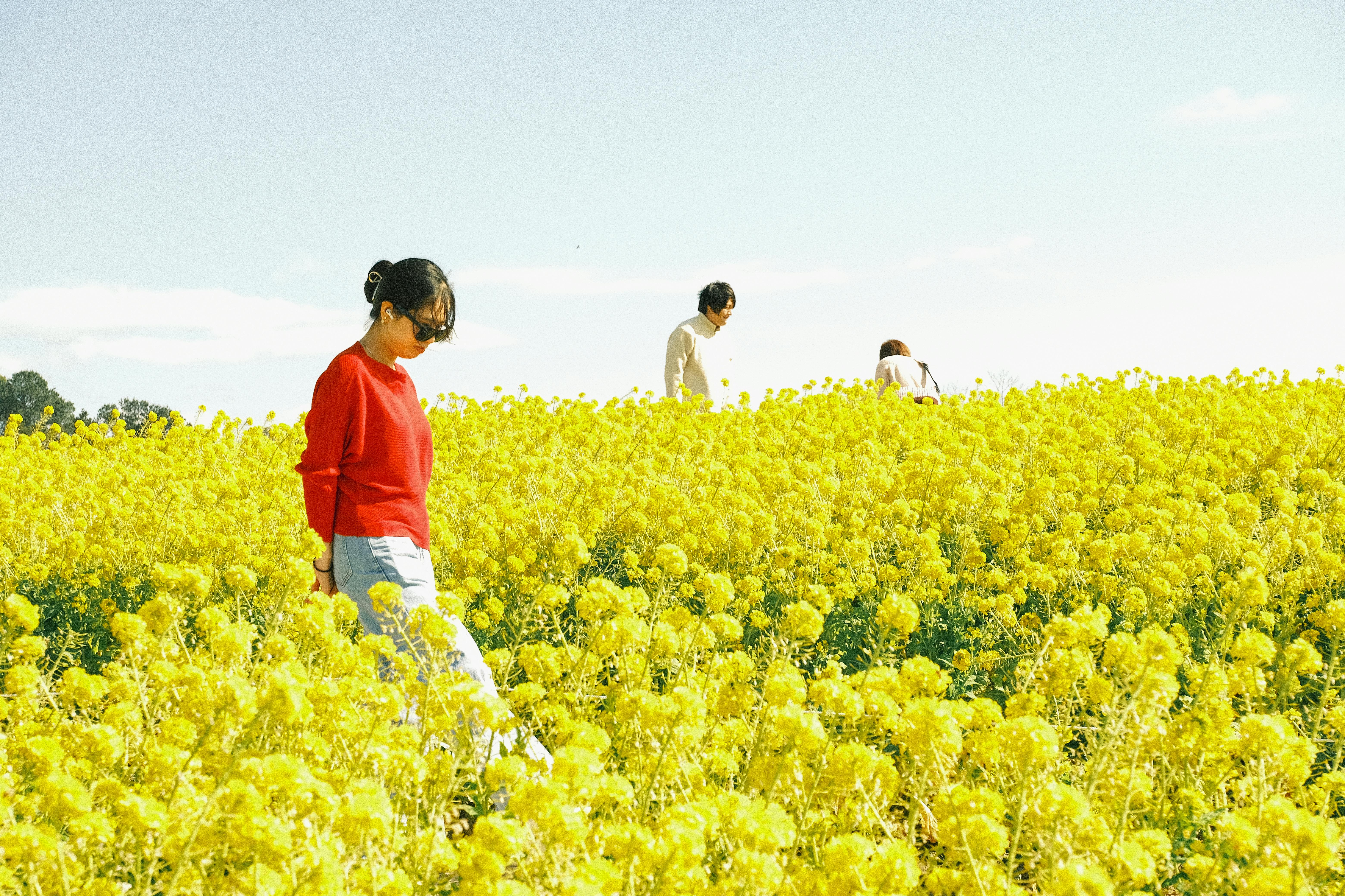 Aichi Farm 2024 · Free Stock Photo