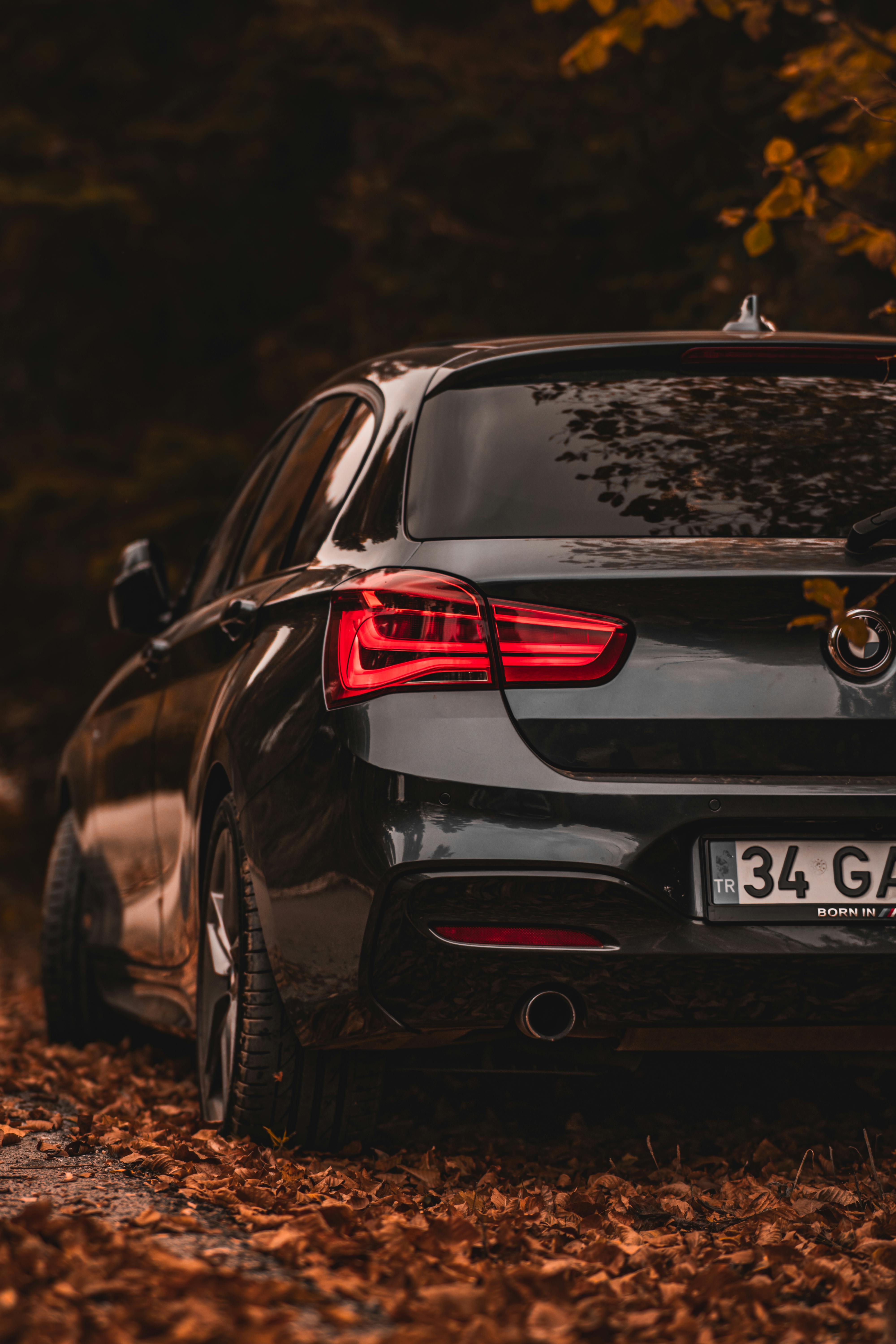 Back View of a Black BMW 1 Series Parked in a Forest in Autumn · Free ...