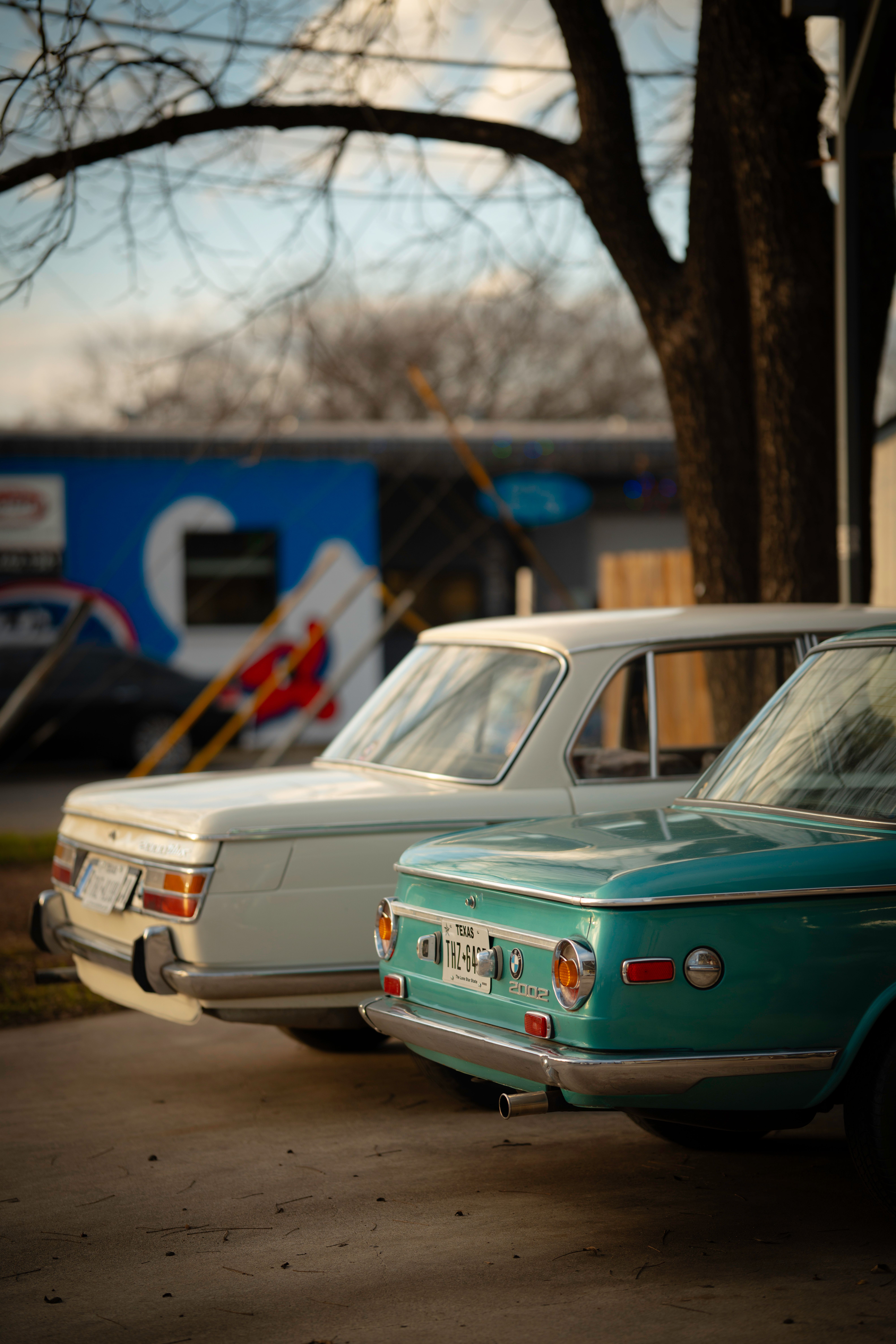 Back of Old-fashioned Cars · Free Stock Photo