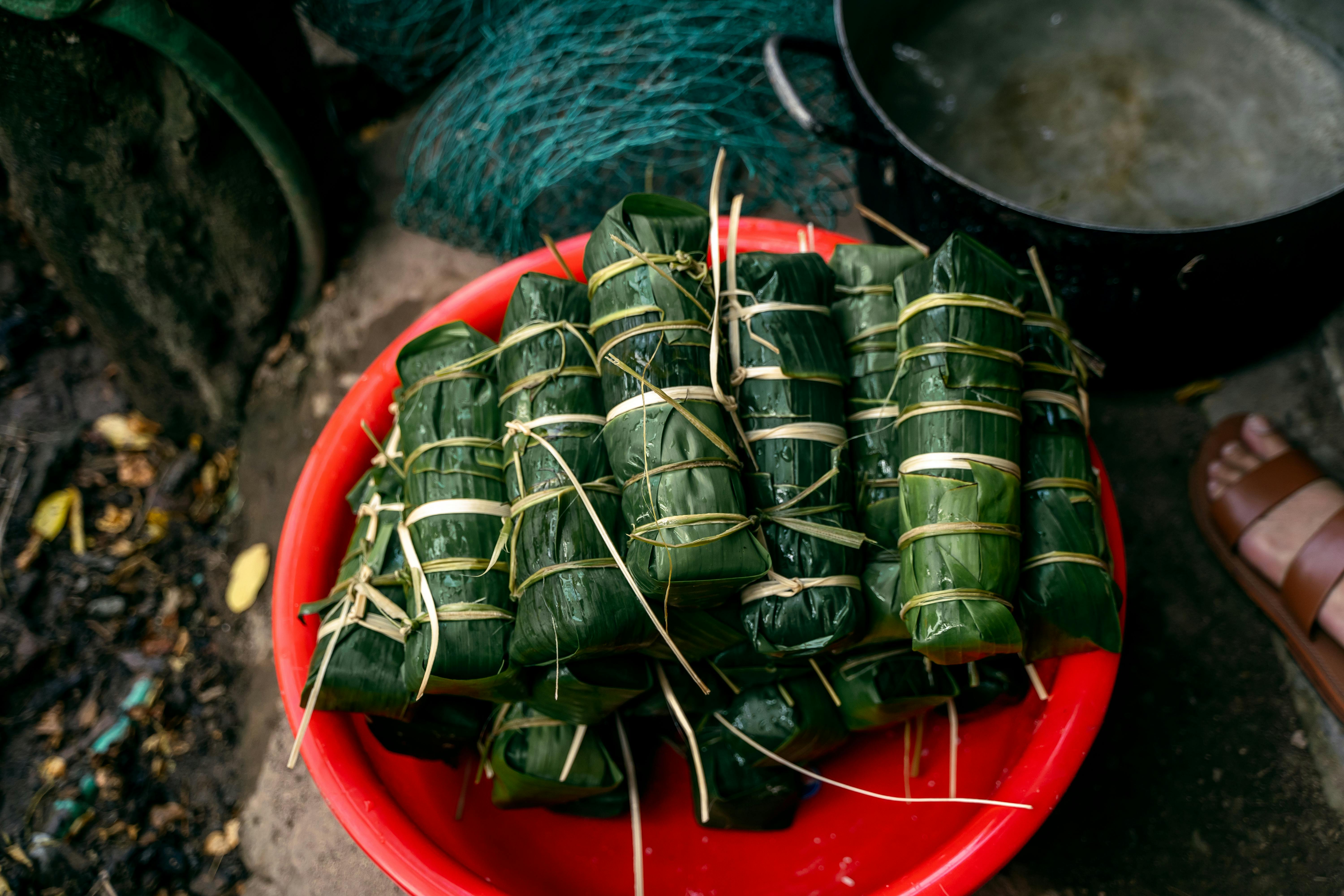Green Bundles Tied with Strings · Free Stock Photo