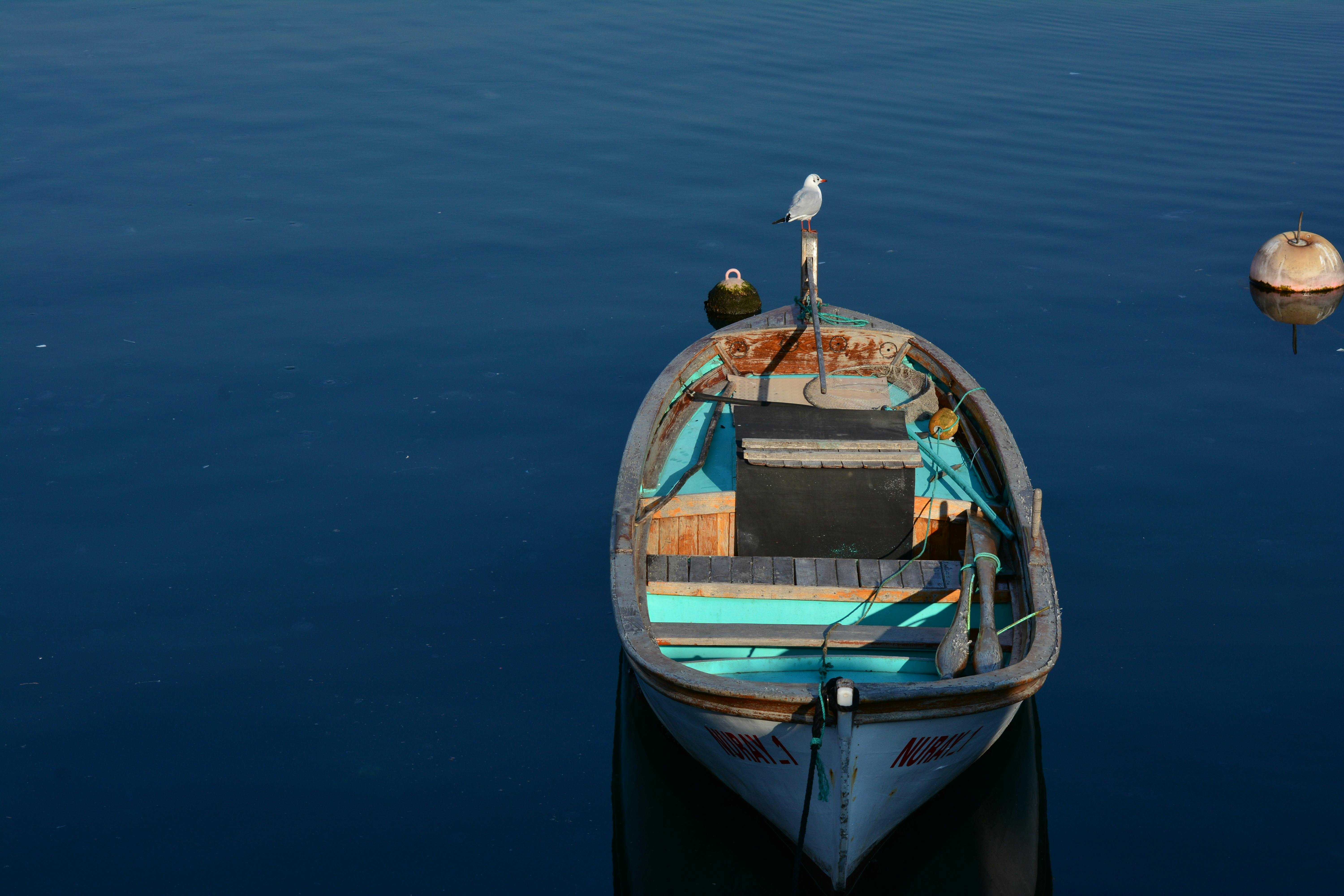 GUIDE TO BUYING A BOAT - drift net