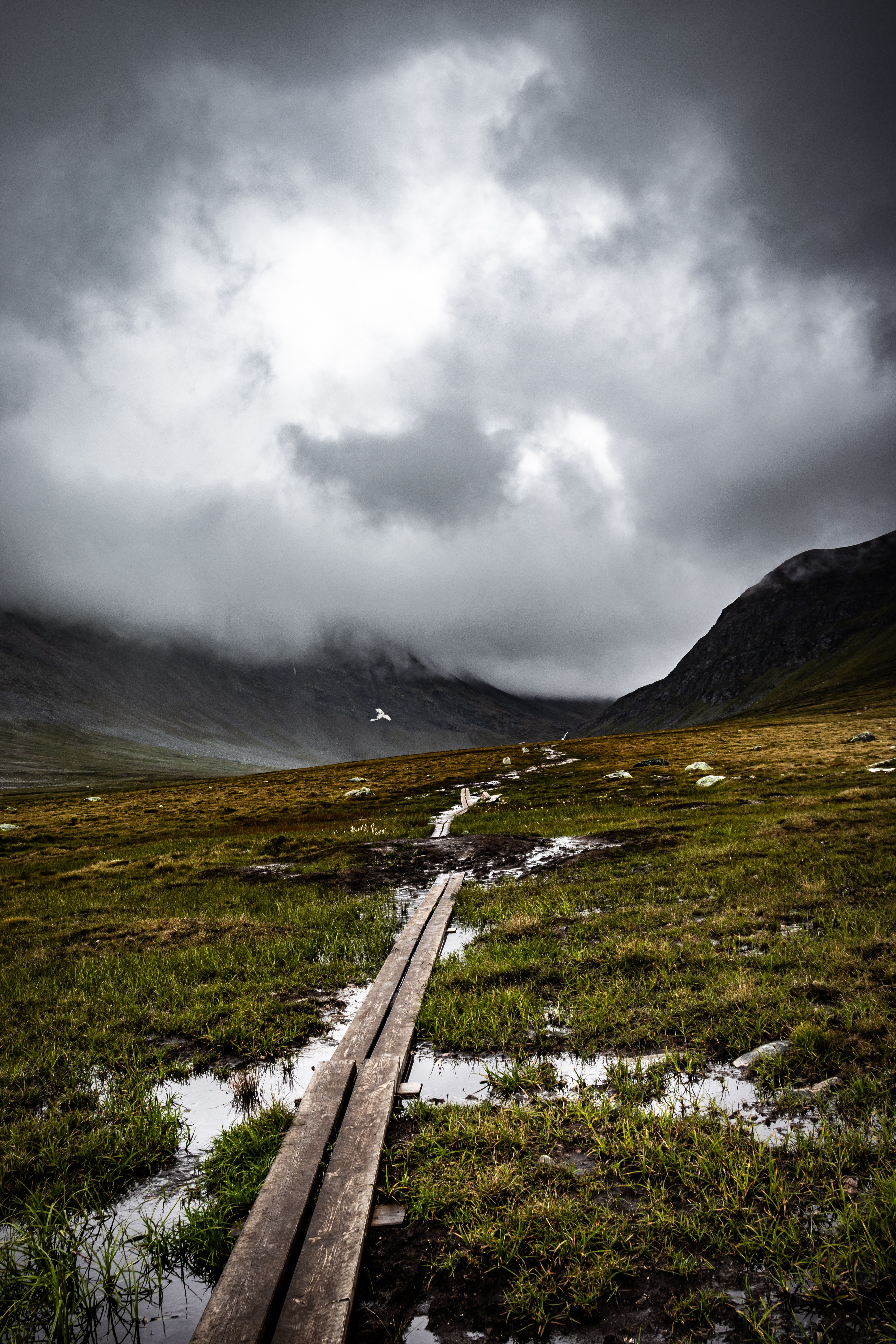Landscape Pictures Of Summer Season Photos, Download The BEST Free ...