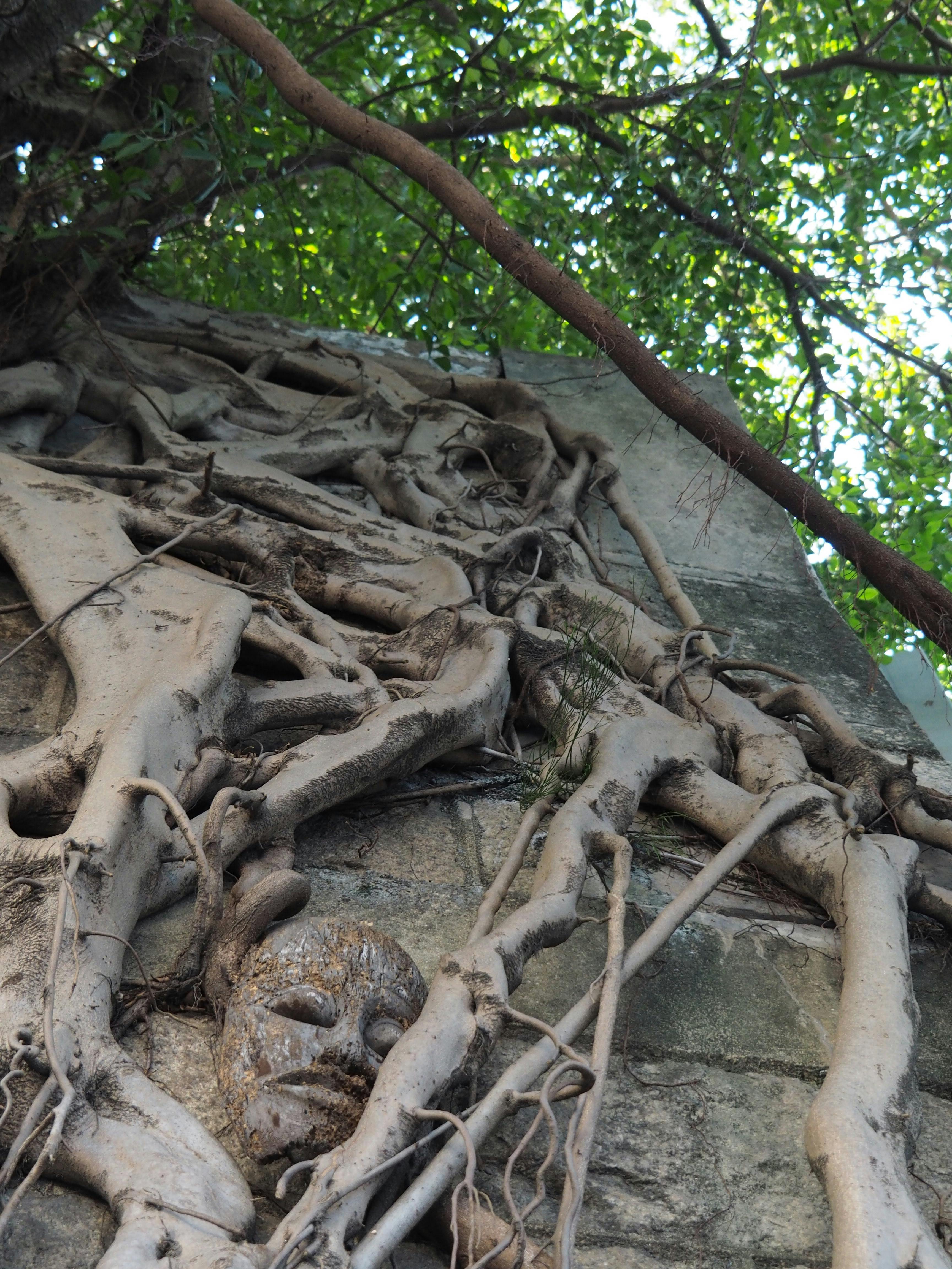 terry narcissan tsui - Fotografía