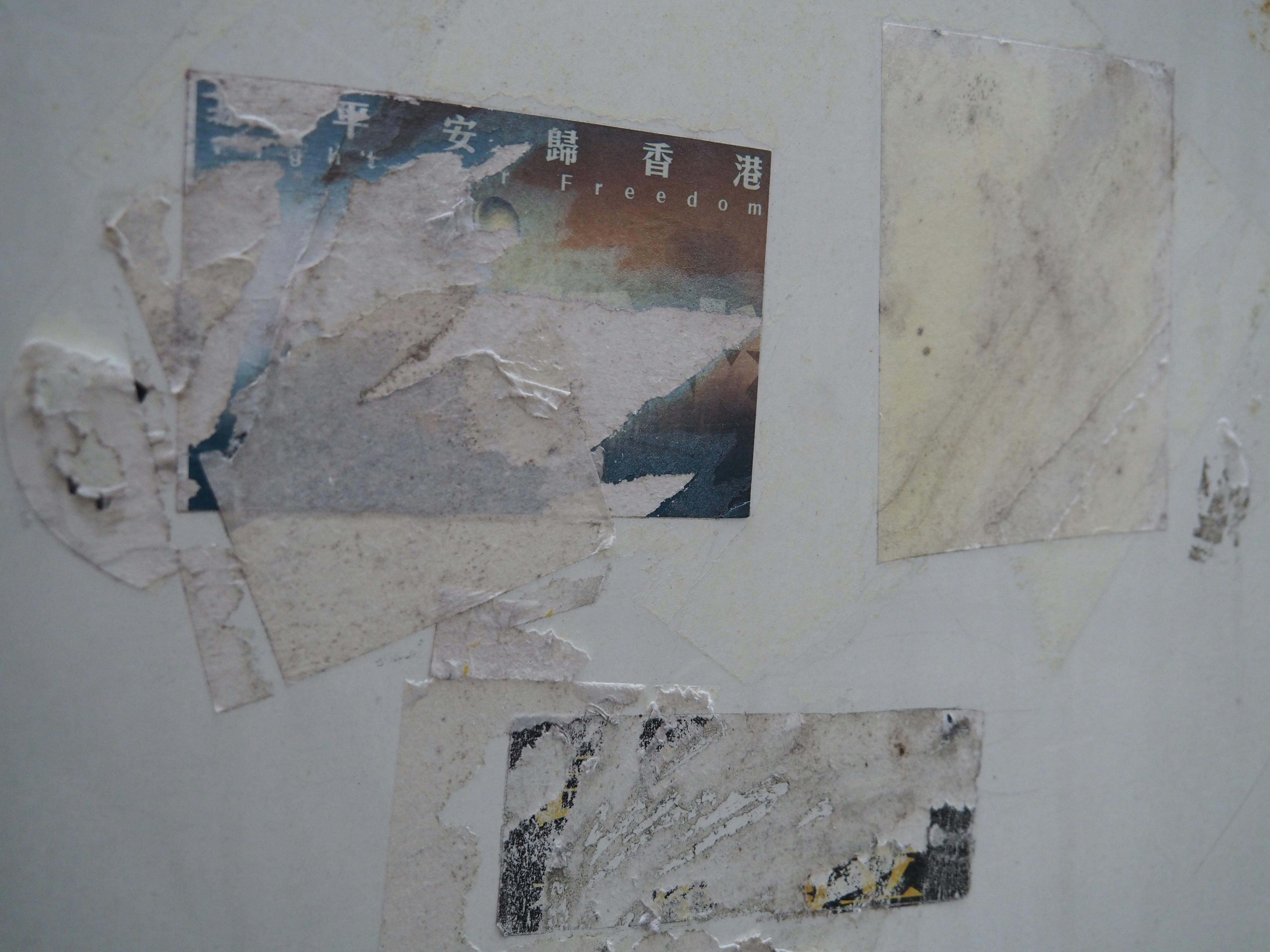 terry narcissan tsui - Fotografía