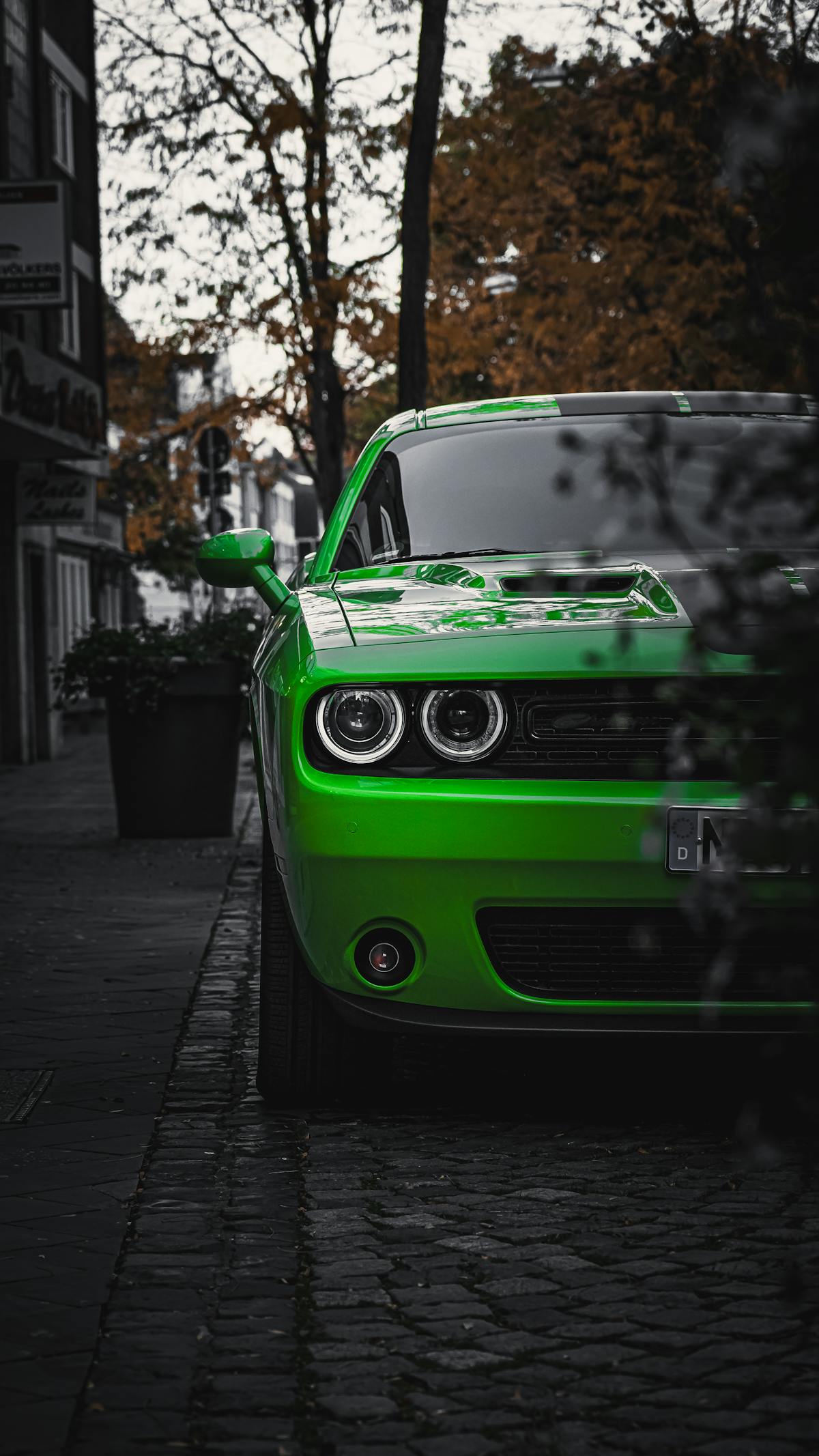 Dodge Challenger Photos, Download The BEST Free Dodge Challenger Stock ...